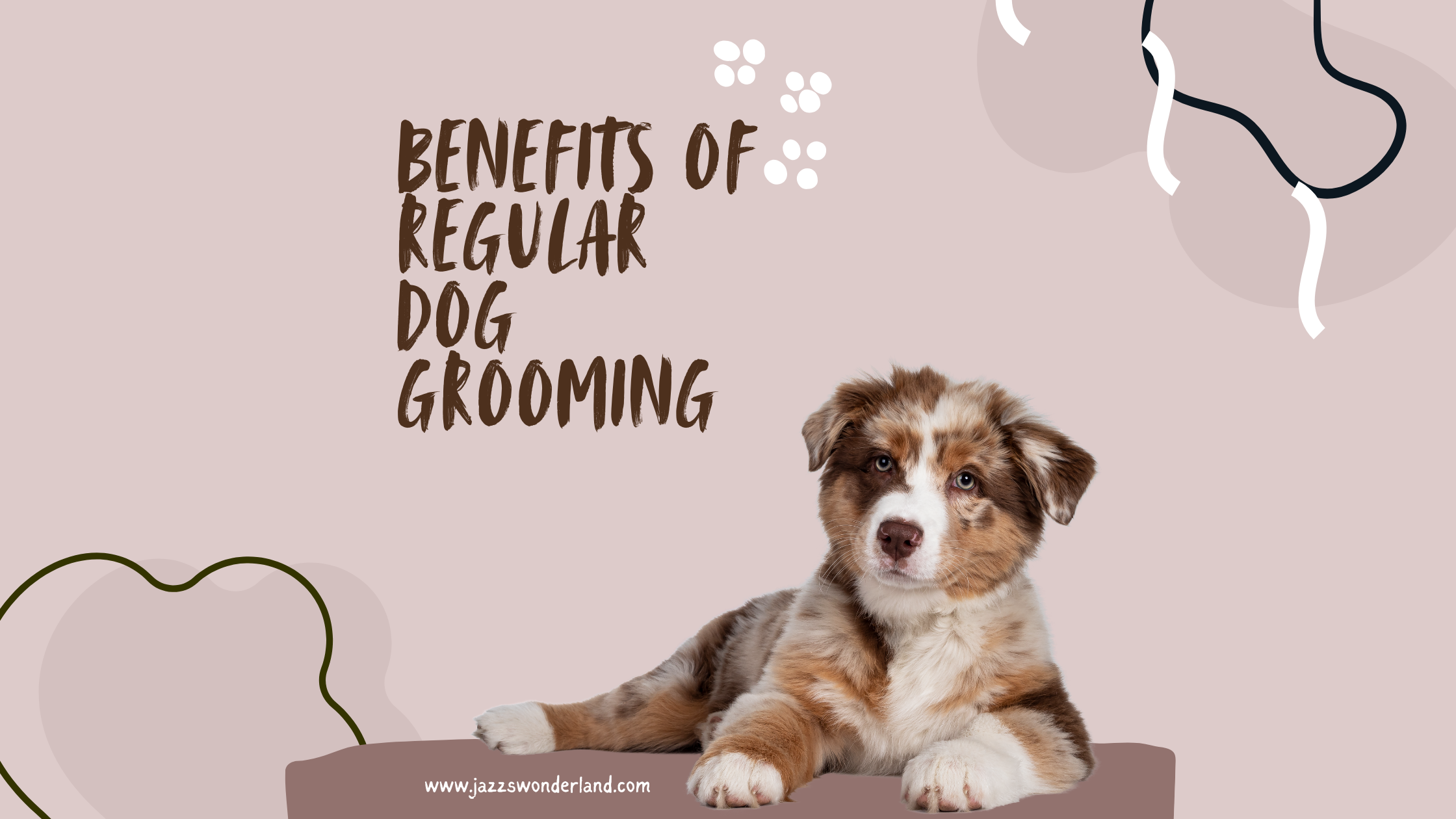 The Benefits of Regular Dog Grooming: Keep Your Pet Healthy, Happy, and ...