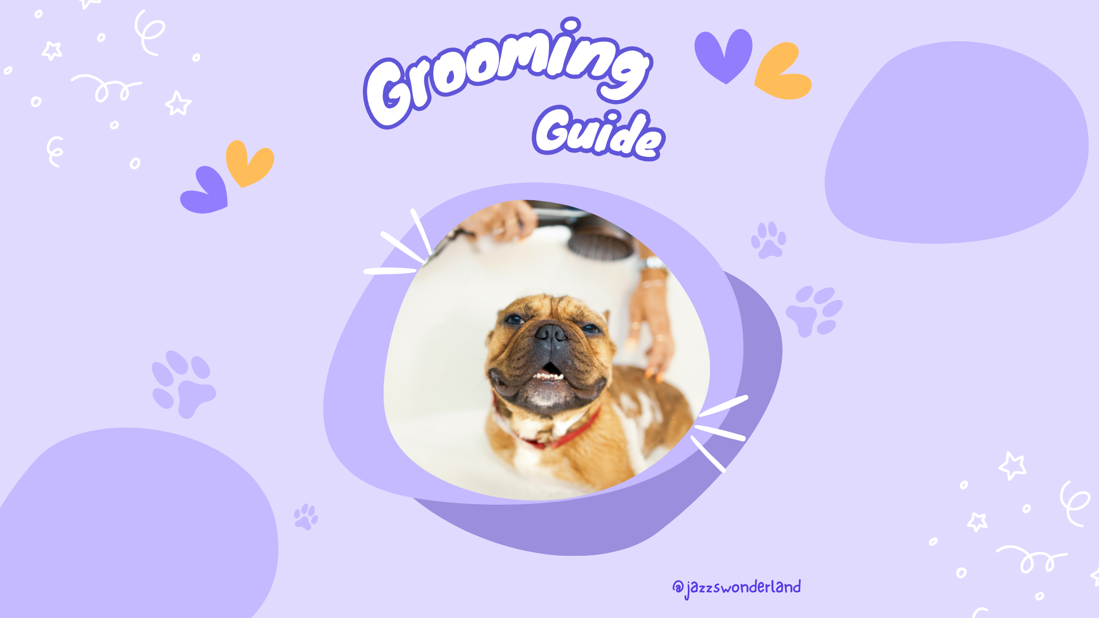 The Ultimate Guide to Dog Grooming: Essential Tips for Every Breed ...
