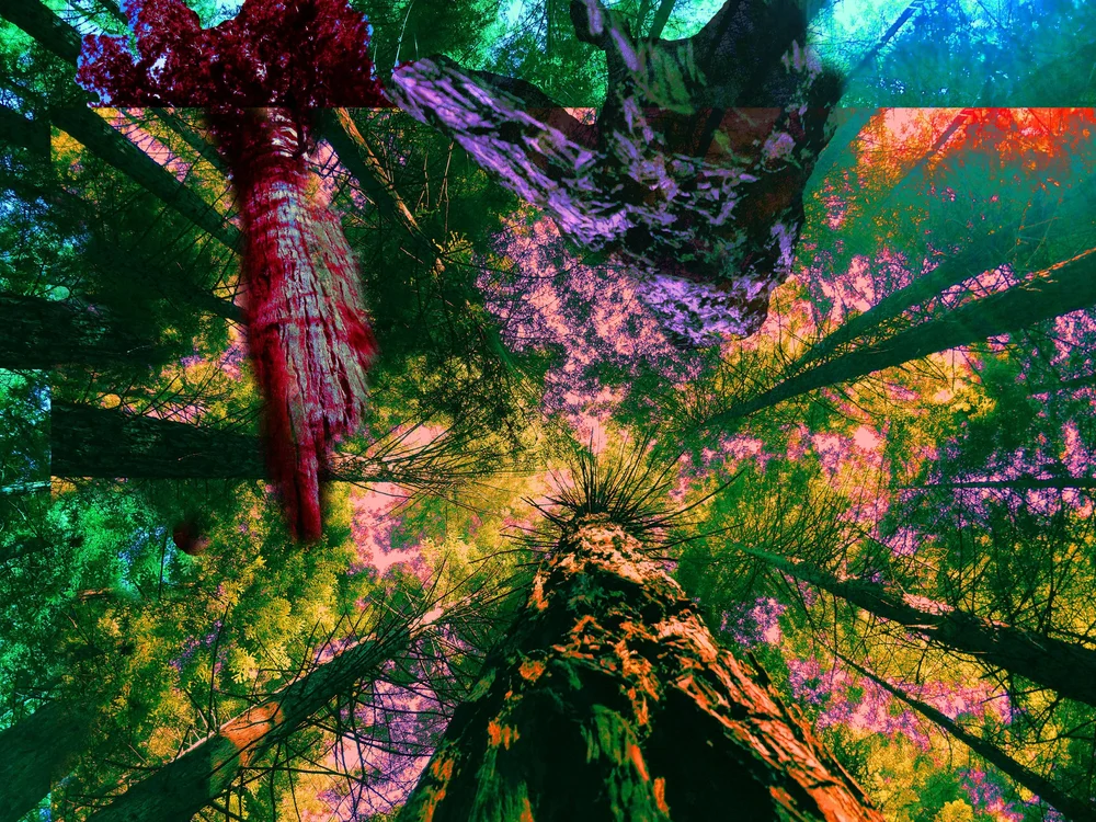 Hannah Rodabaugh — OTHERWISE COLLECTIVE