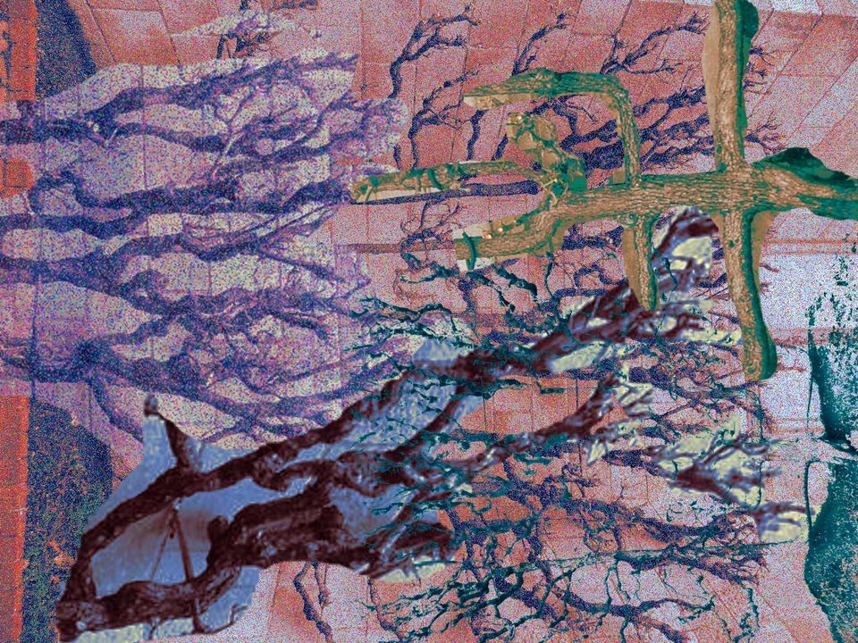 Timothy Liu — OTHERWISE COLLECTIVE