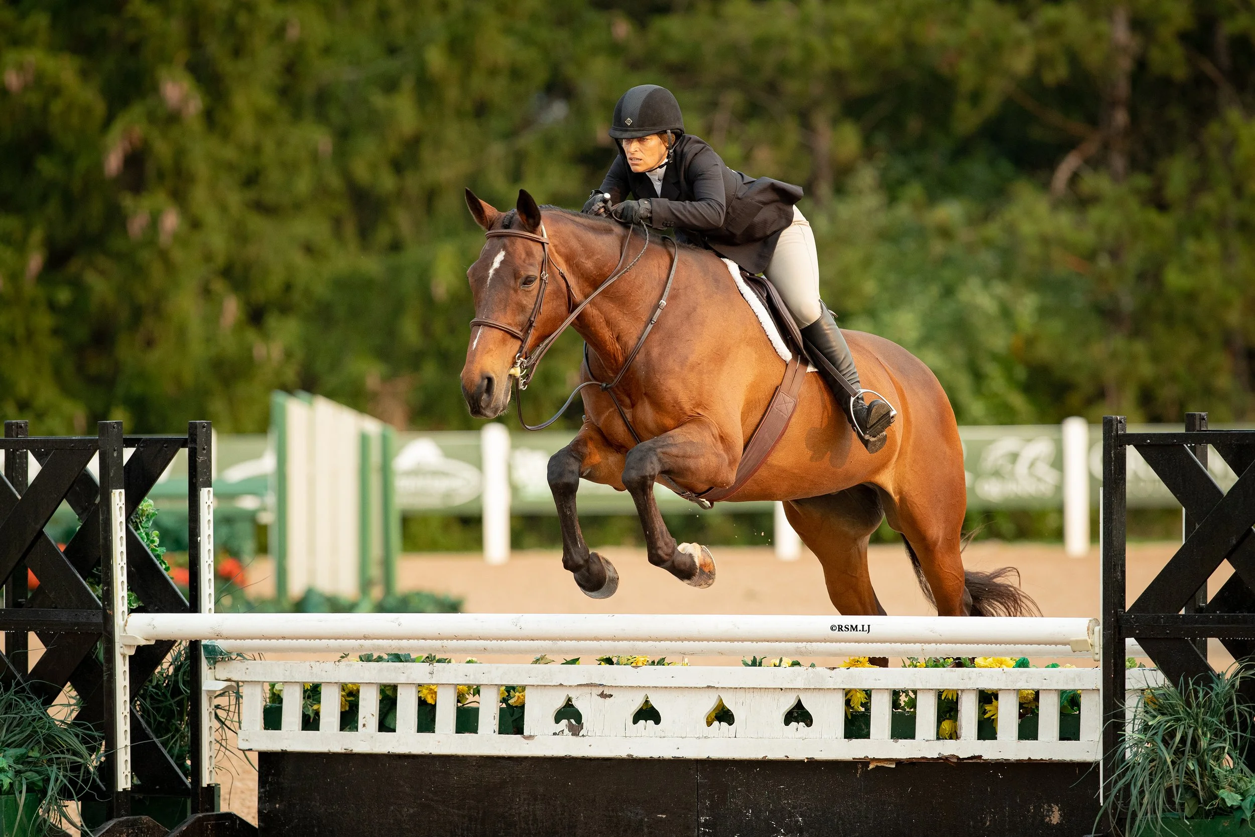 General 1 — Toronto Equestrian Downtown