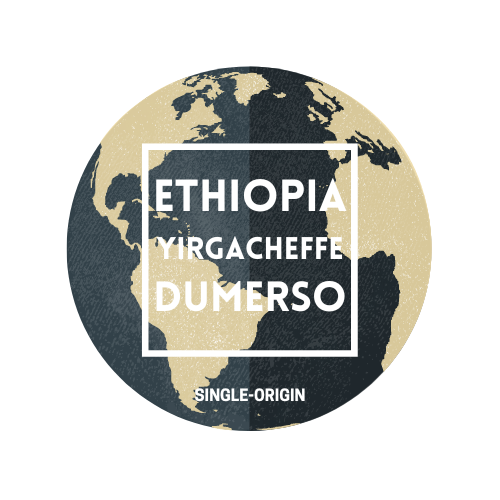 Shop — Sleeping Giant Coffee Co.