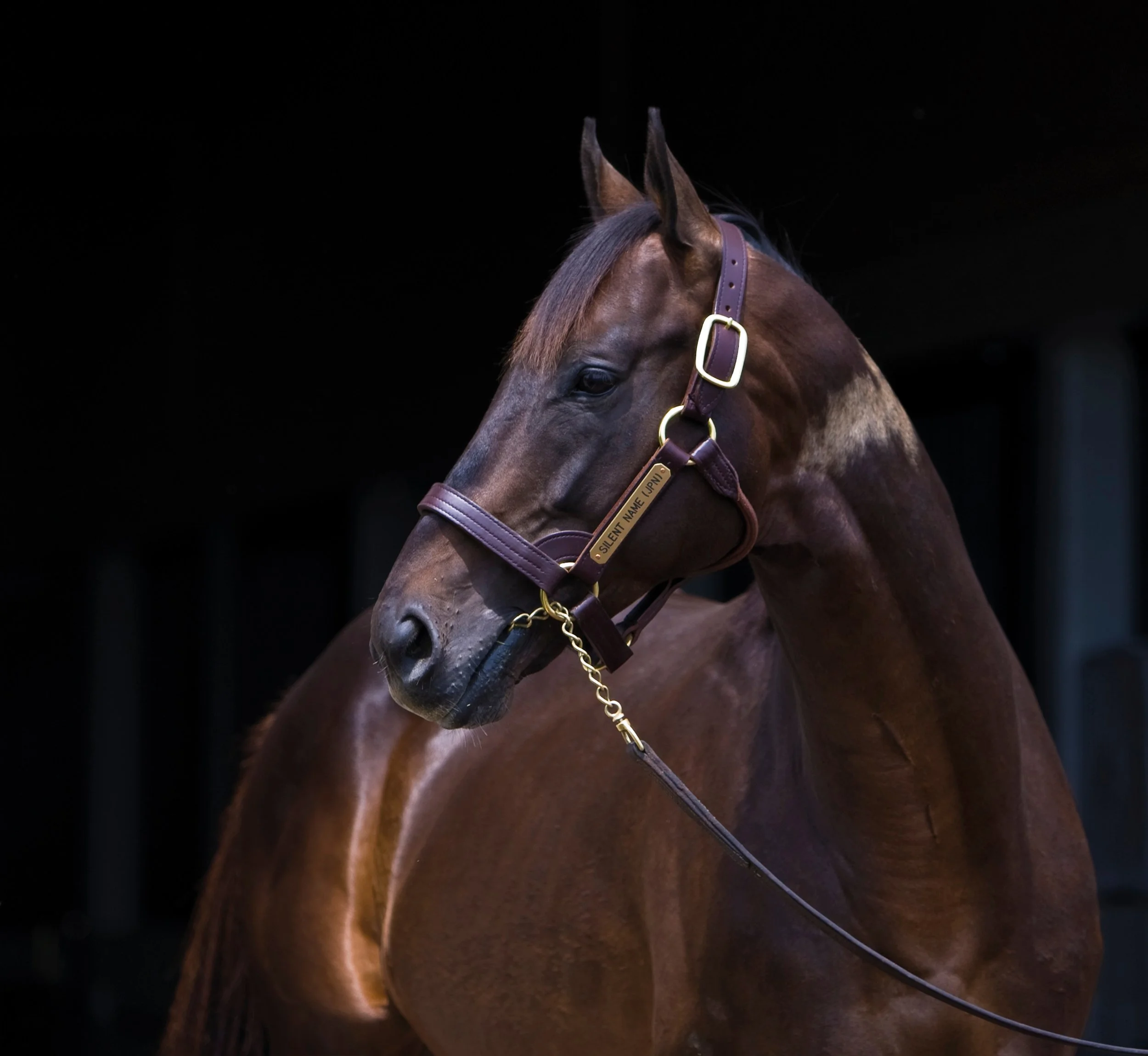 SILENT NAME — ADENA SPRINGS