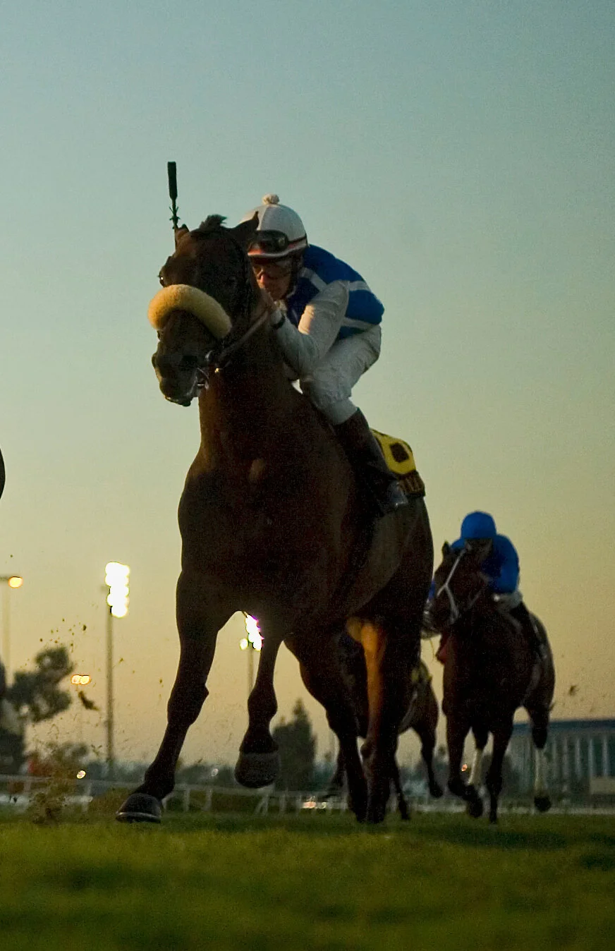 SILENT NAME — ADENA SPRINGS