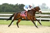 SILENT NAME — ADENA SPRINGS