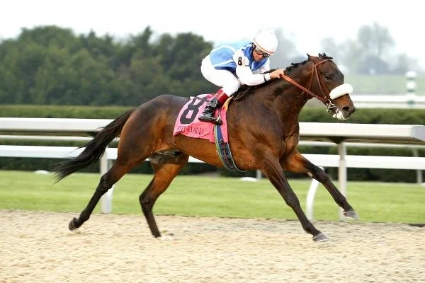SILENT NAME — ADENA SPRINGS