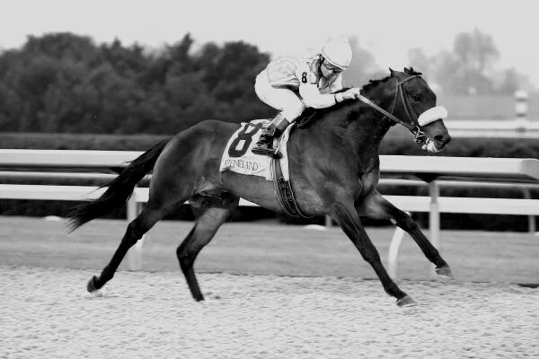 SILENT NAME — ADENA SPRINGS