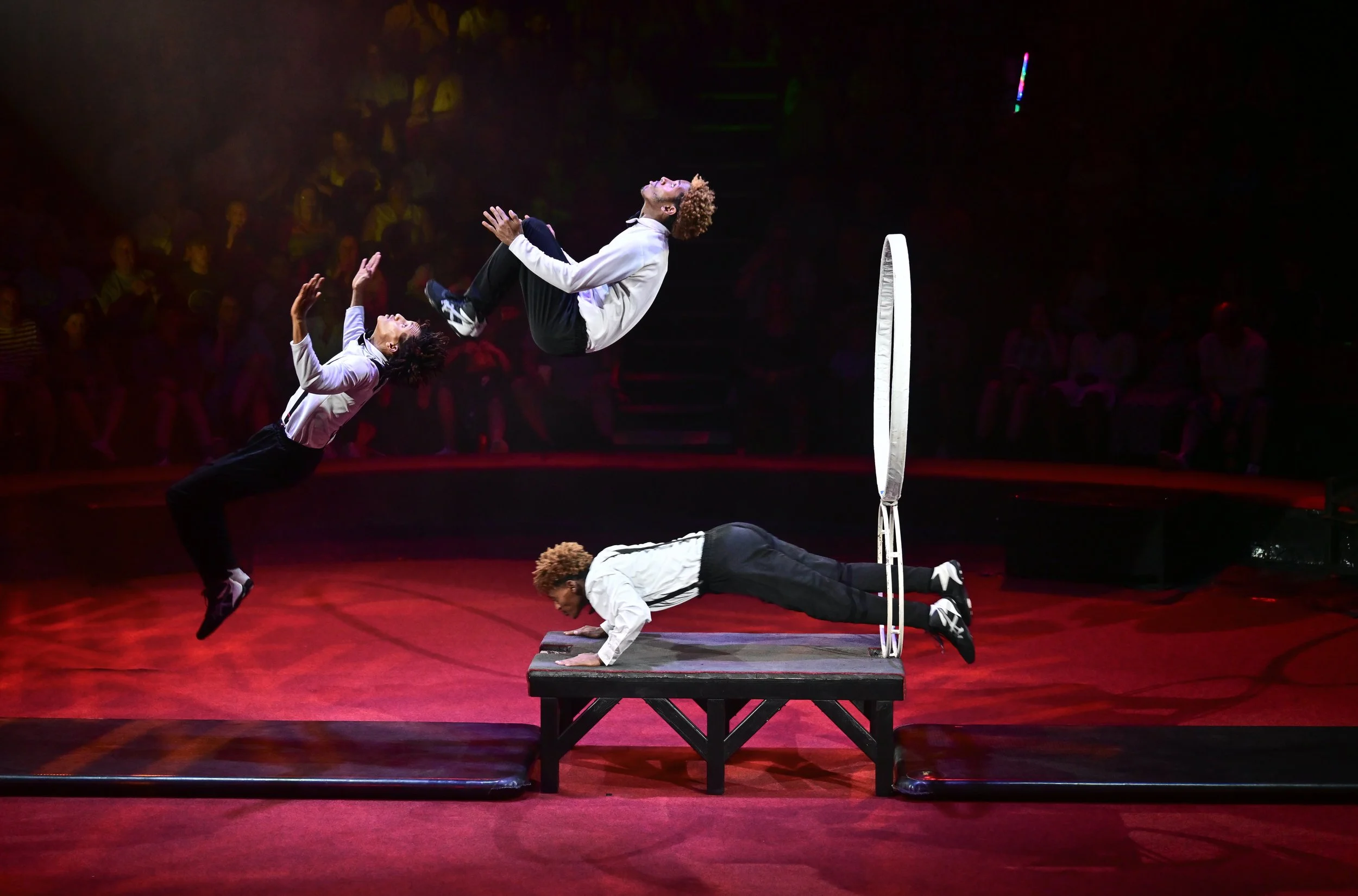 Summer | World Class Performers - Book Now — Hippodrome Circus