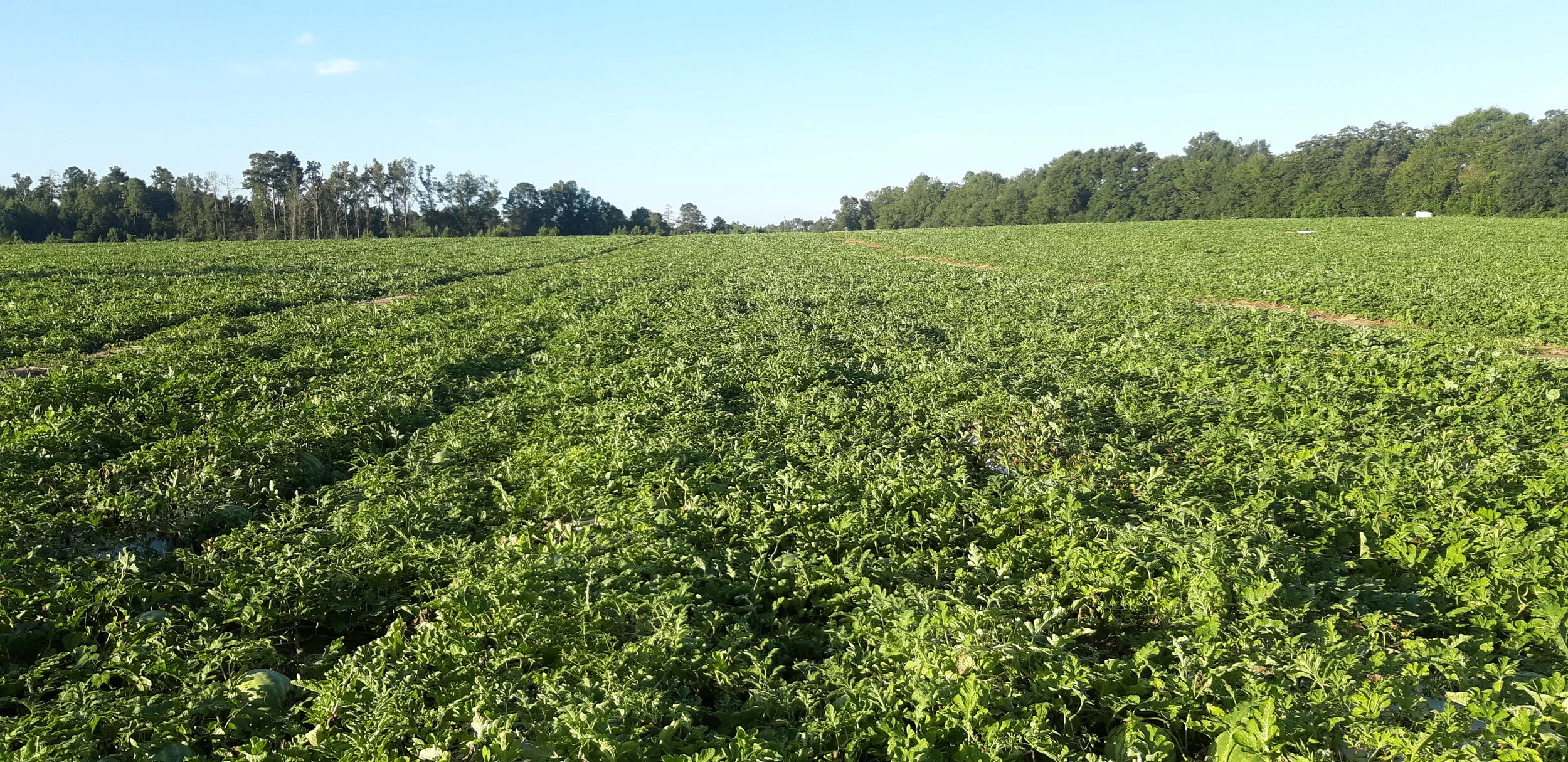 Humble Acres Organics