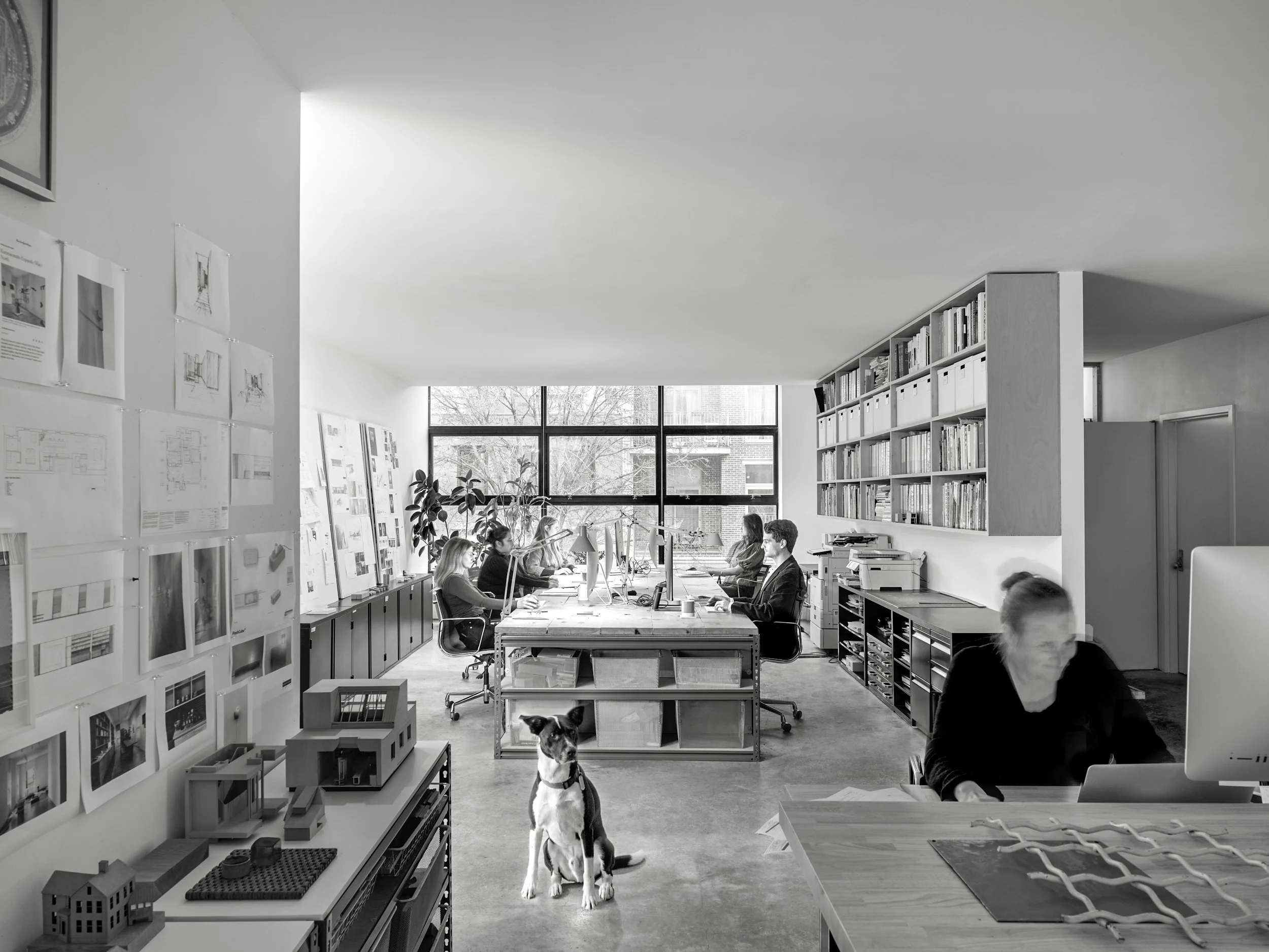 ABOUT — David Bers Architecture