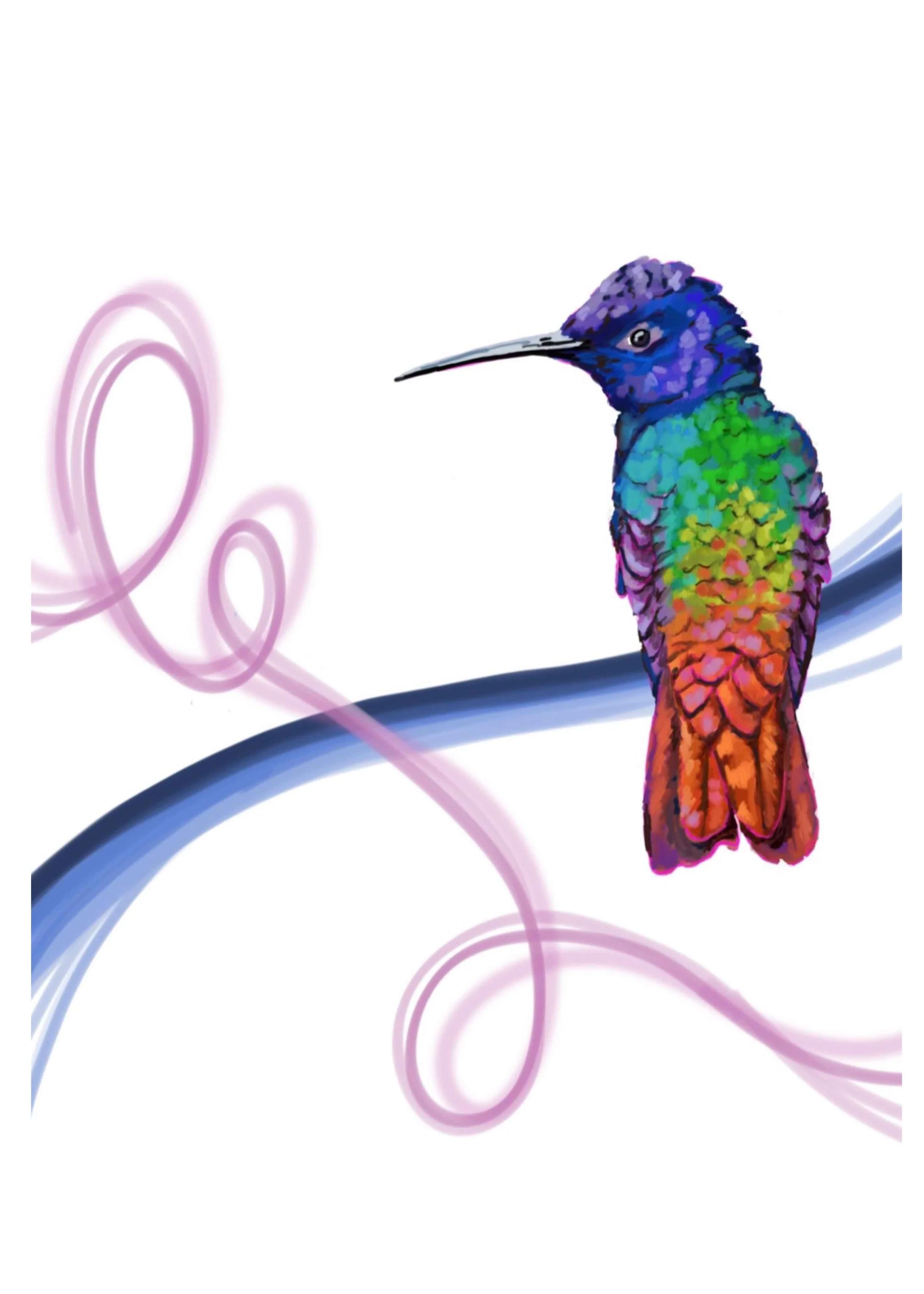 The Hummingbird and The Beagle | Artwork by Jenna Duncan