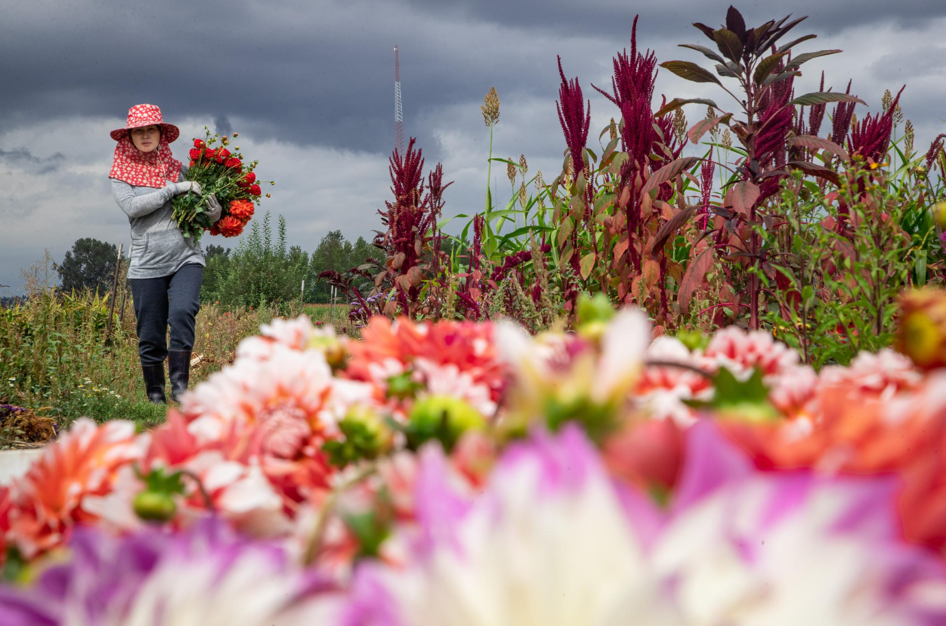 Photojournalism Awards — AAJA Awards