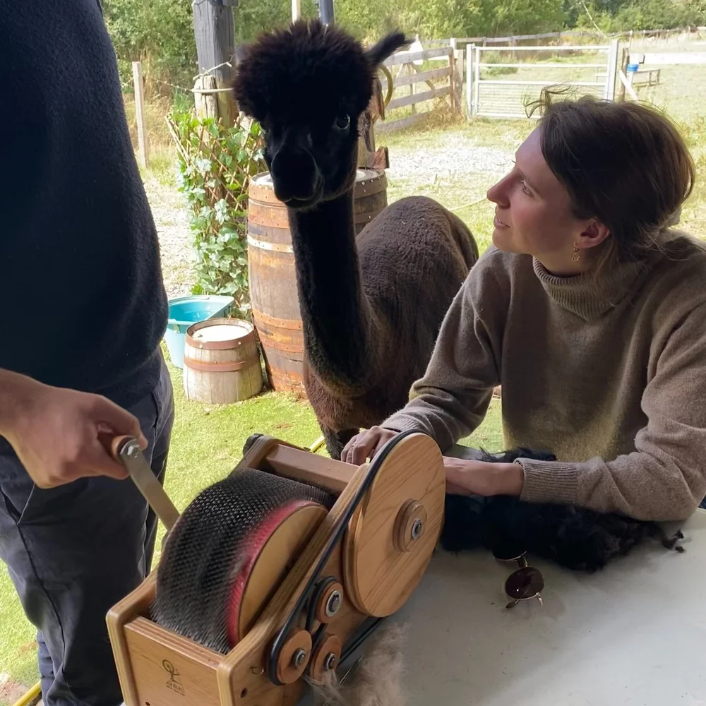 Alpacas in France - experiences — La Petite Ferme d'Alpagas Sanzay