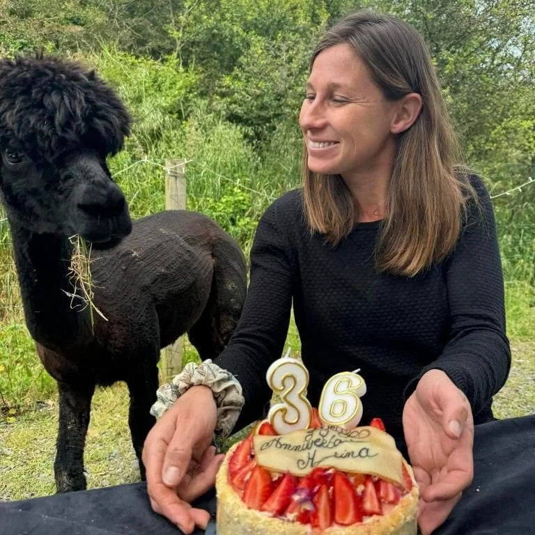 Alpacas in France - experiences — La Petite Ferme d'Alpagas Sanzay