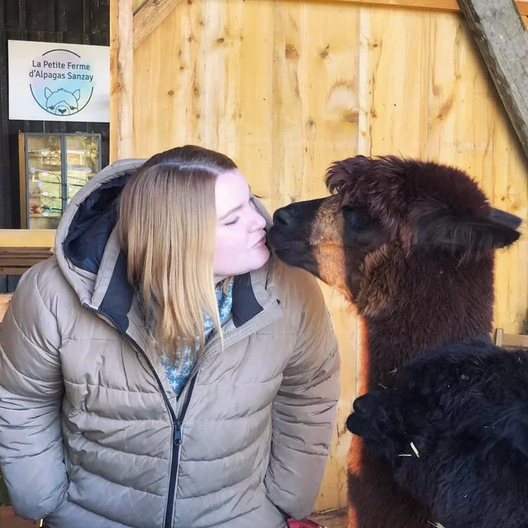 About the alpaca farm in France. Meet the couple who moved to France to ...