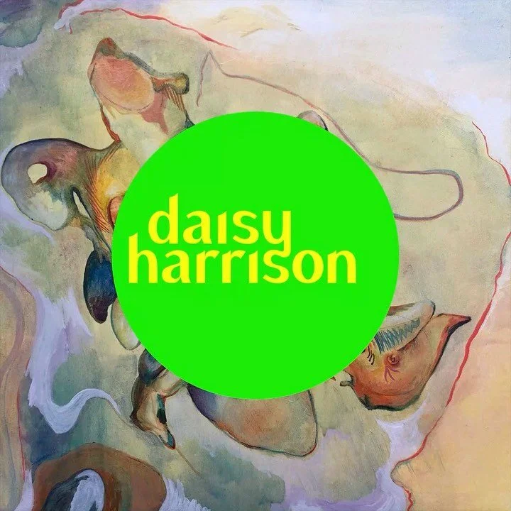 Daisy Harrison