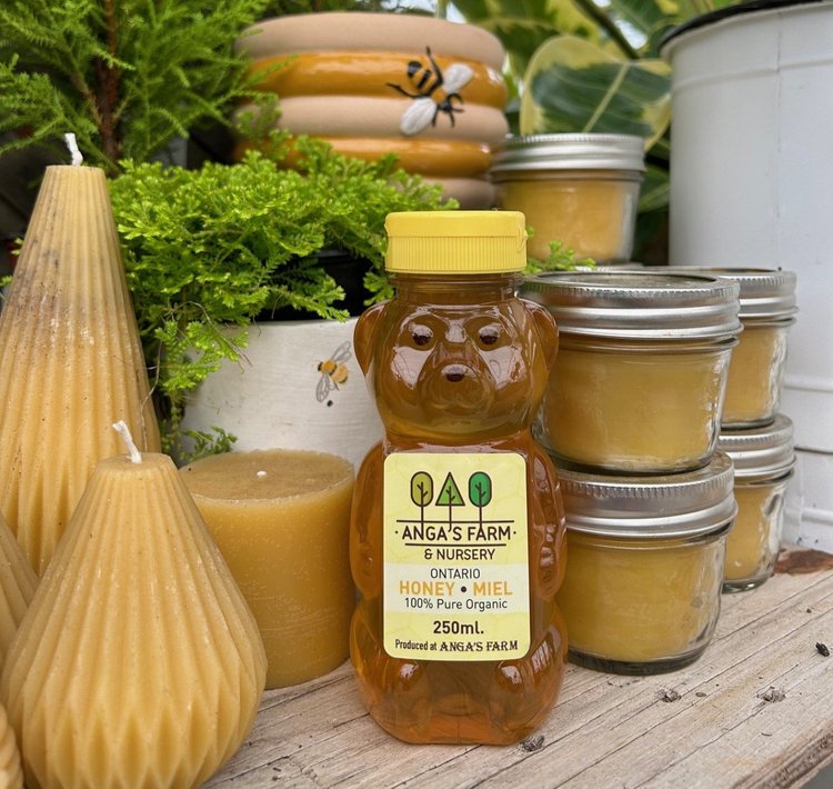 Anga's Farm & Nursery