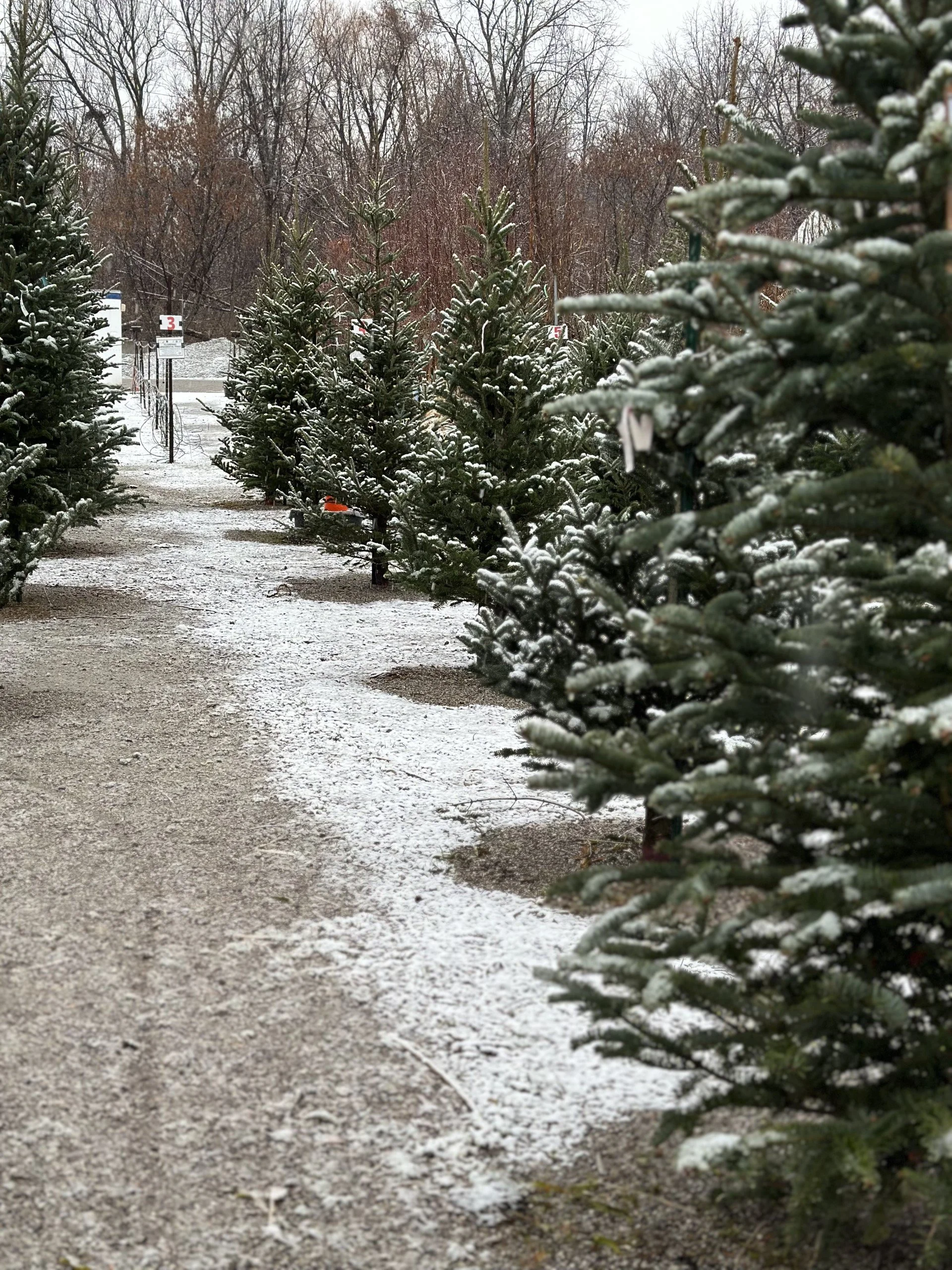 Anga's Farm & Nursery