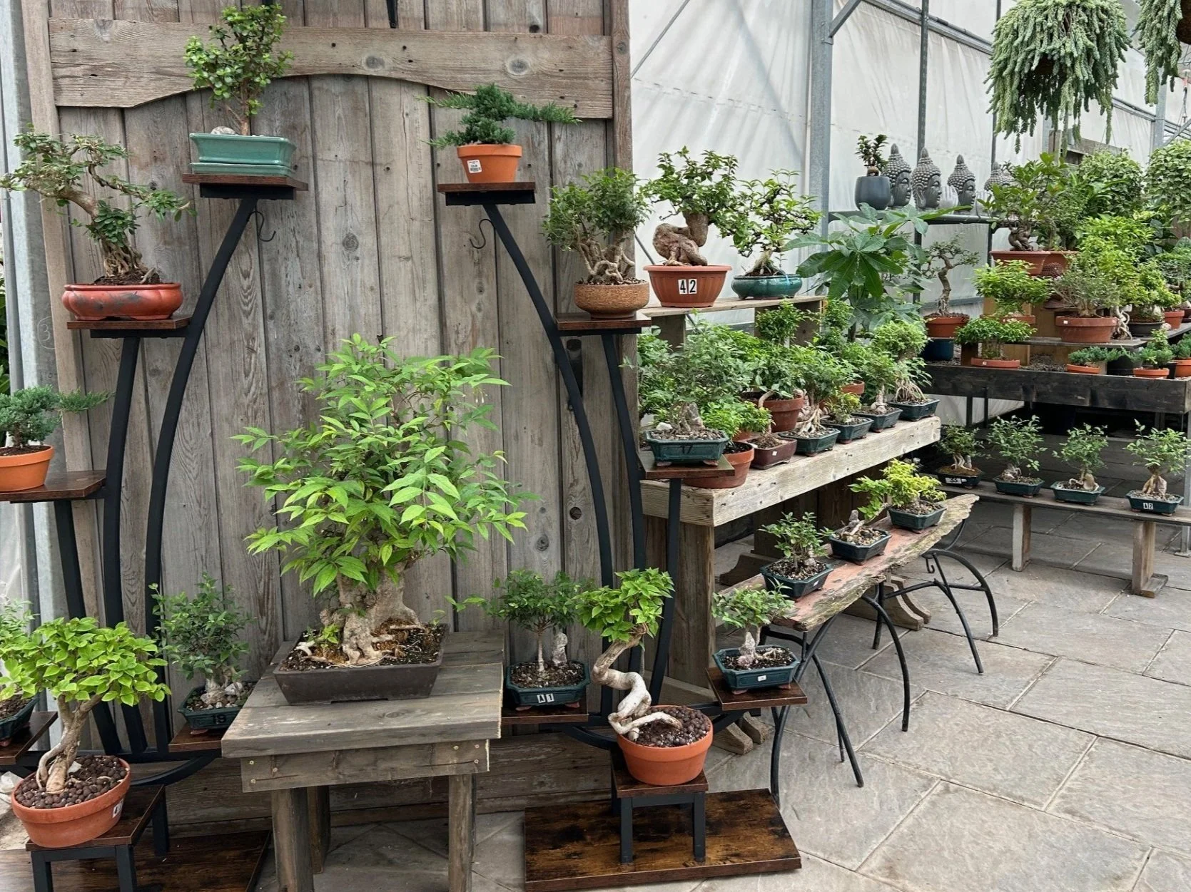 Anga's Farm & Nursery