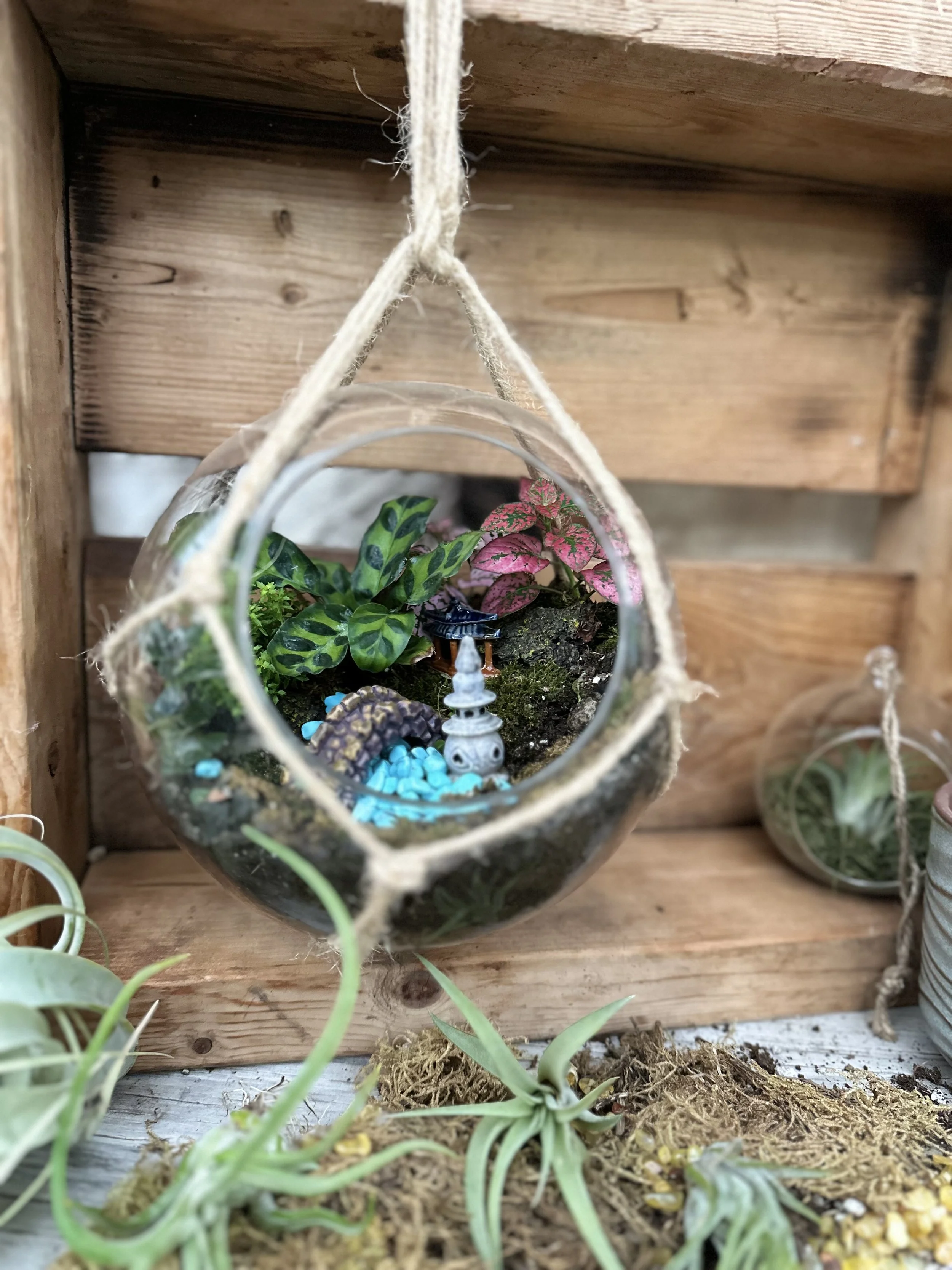 Anga's Farm & Nursery