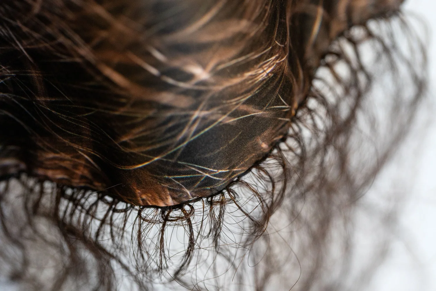 2024 Exhibitions — SOIL