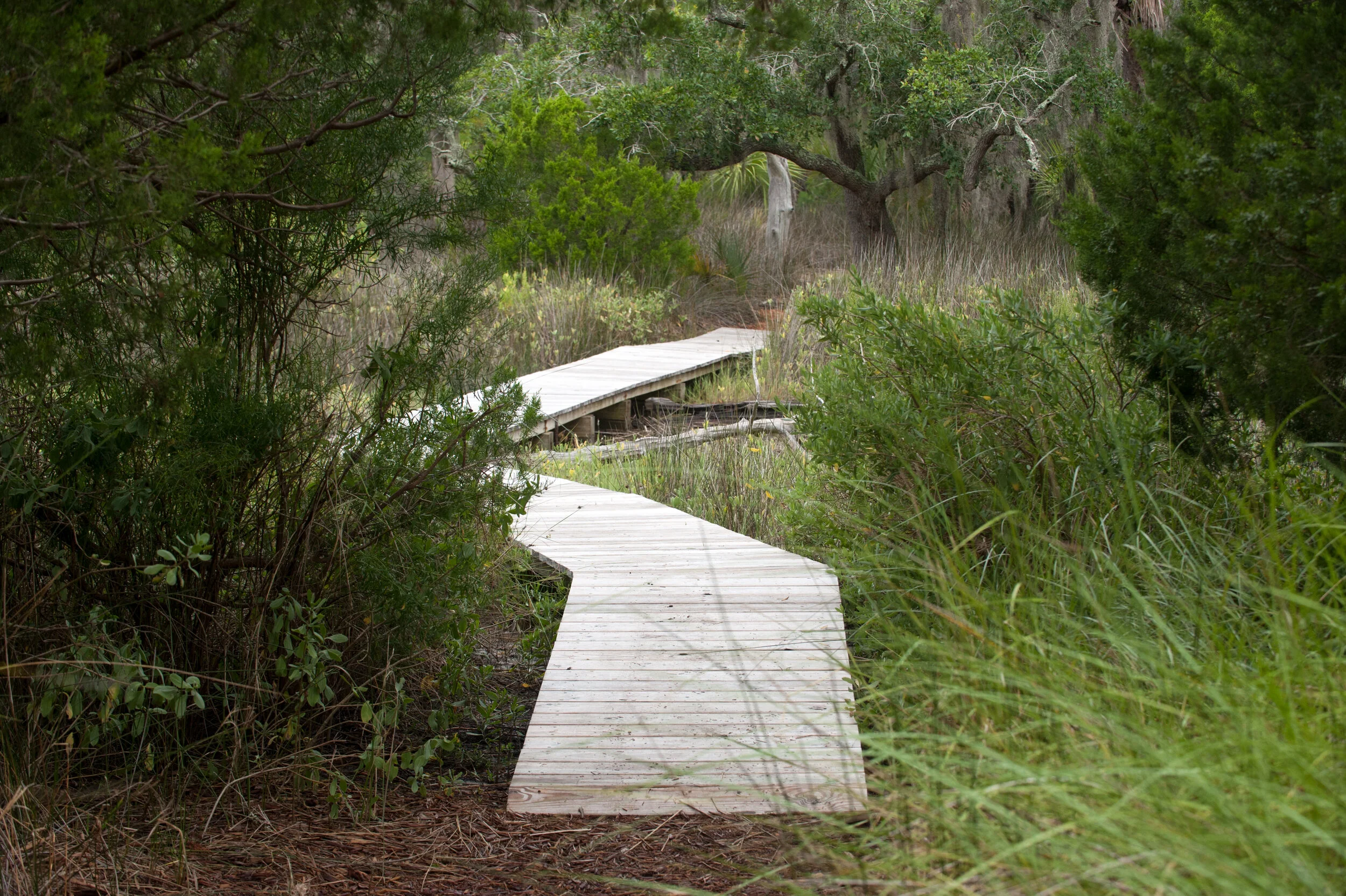 Facilities — Page Island