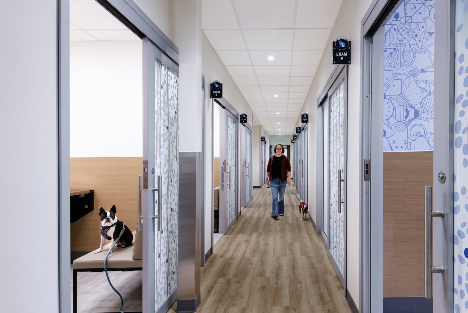 Bellevue Veterinary Emergency + Specialty — JPC Architects