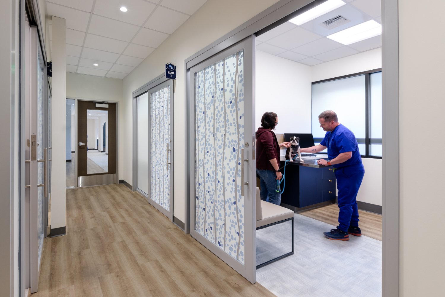 Bellevue Veterinary Emergency + Specialty — JPC Architects