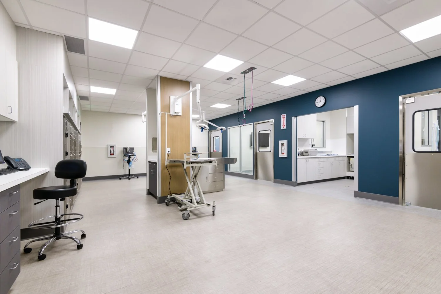 Bellevue Veterinary Emergency + Specialty — JPC Architects