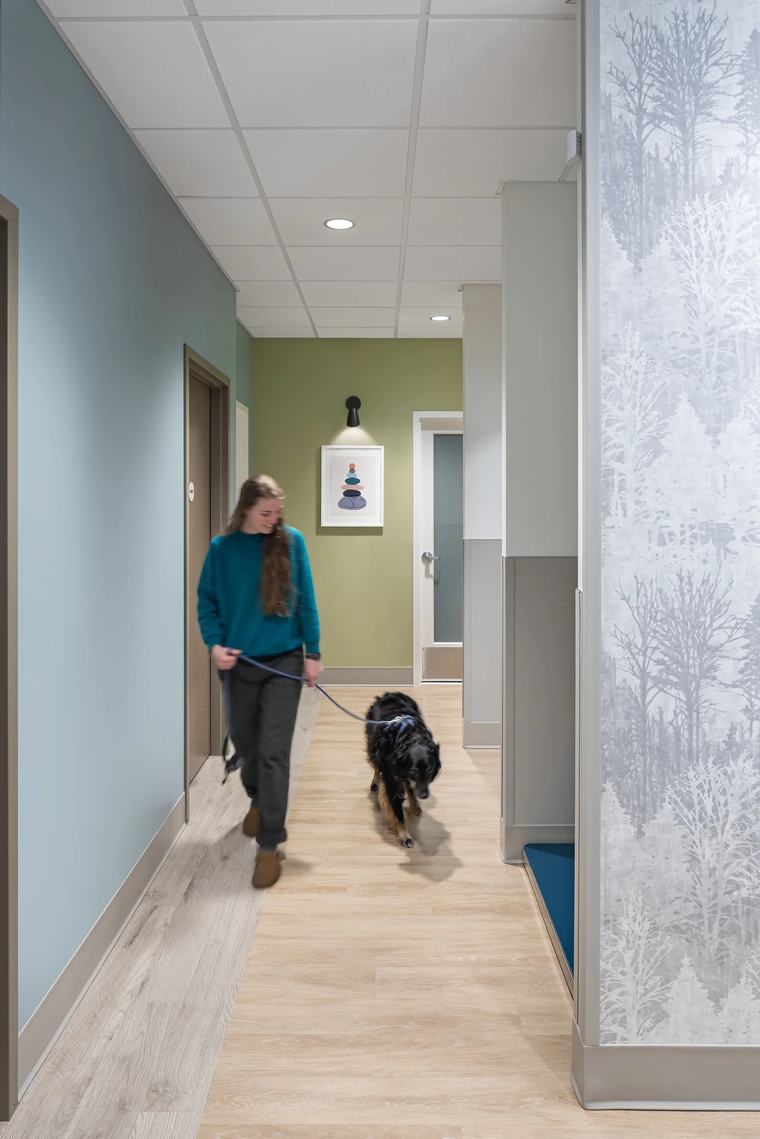 Cypress Veterinary Hospital — JPC Architects