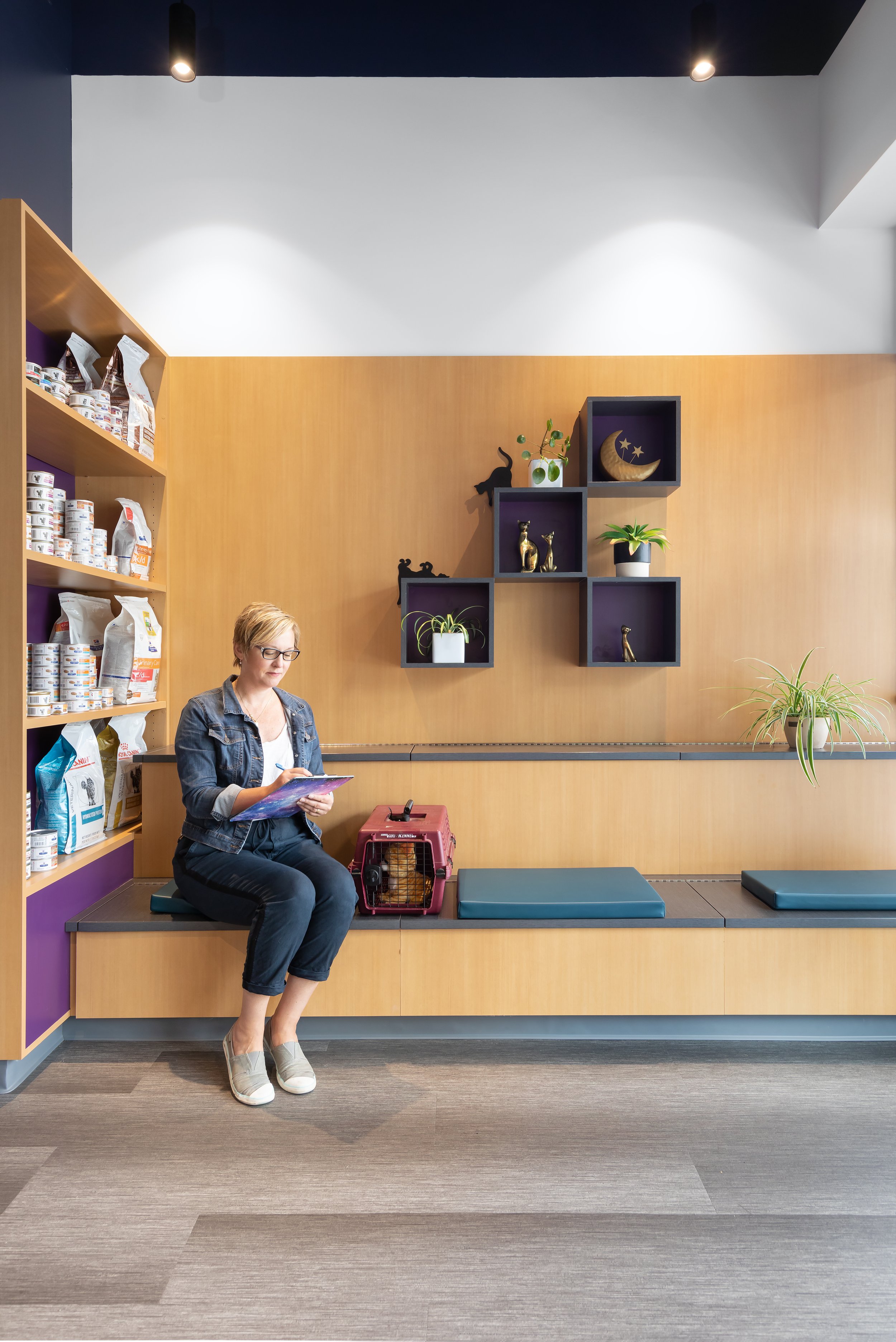 Galaxy Cats — JPC Architects