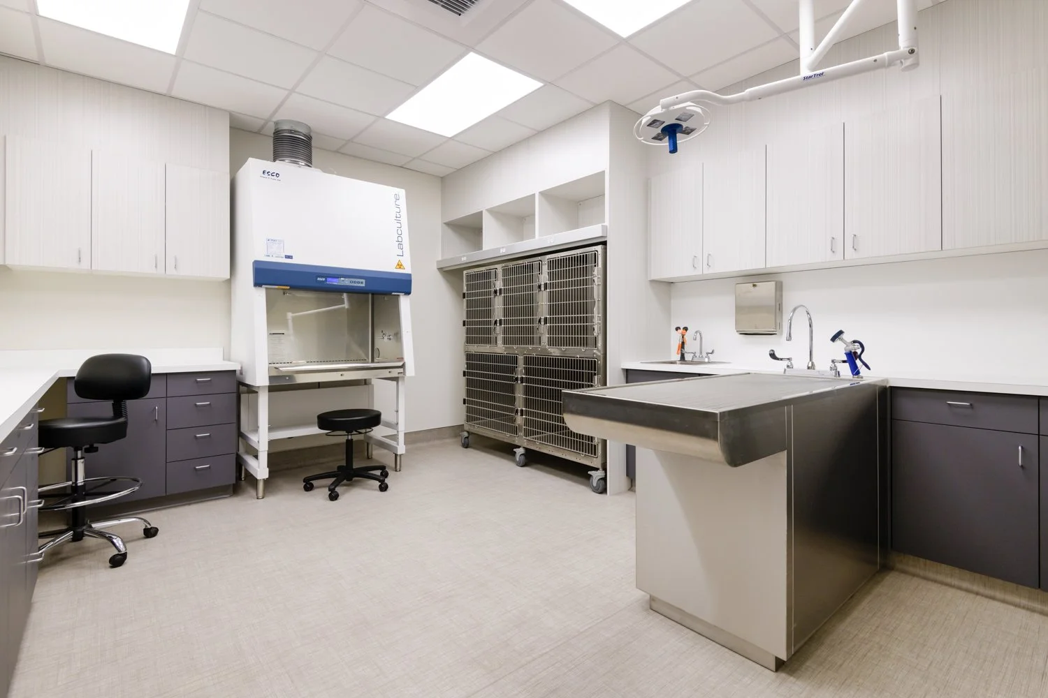 Bellevue Veterinary Emergency + Specialty — JPC Architects