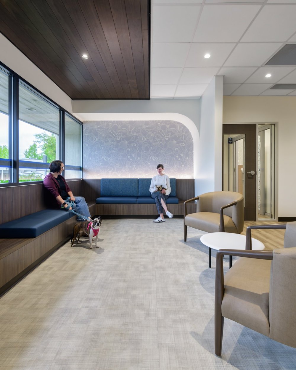 Bellevue Veterinary Emergency + Specialty — JPC Architects