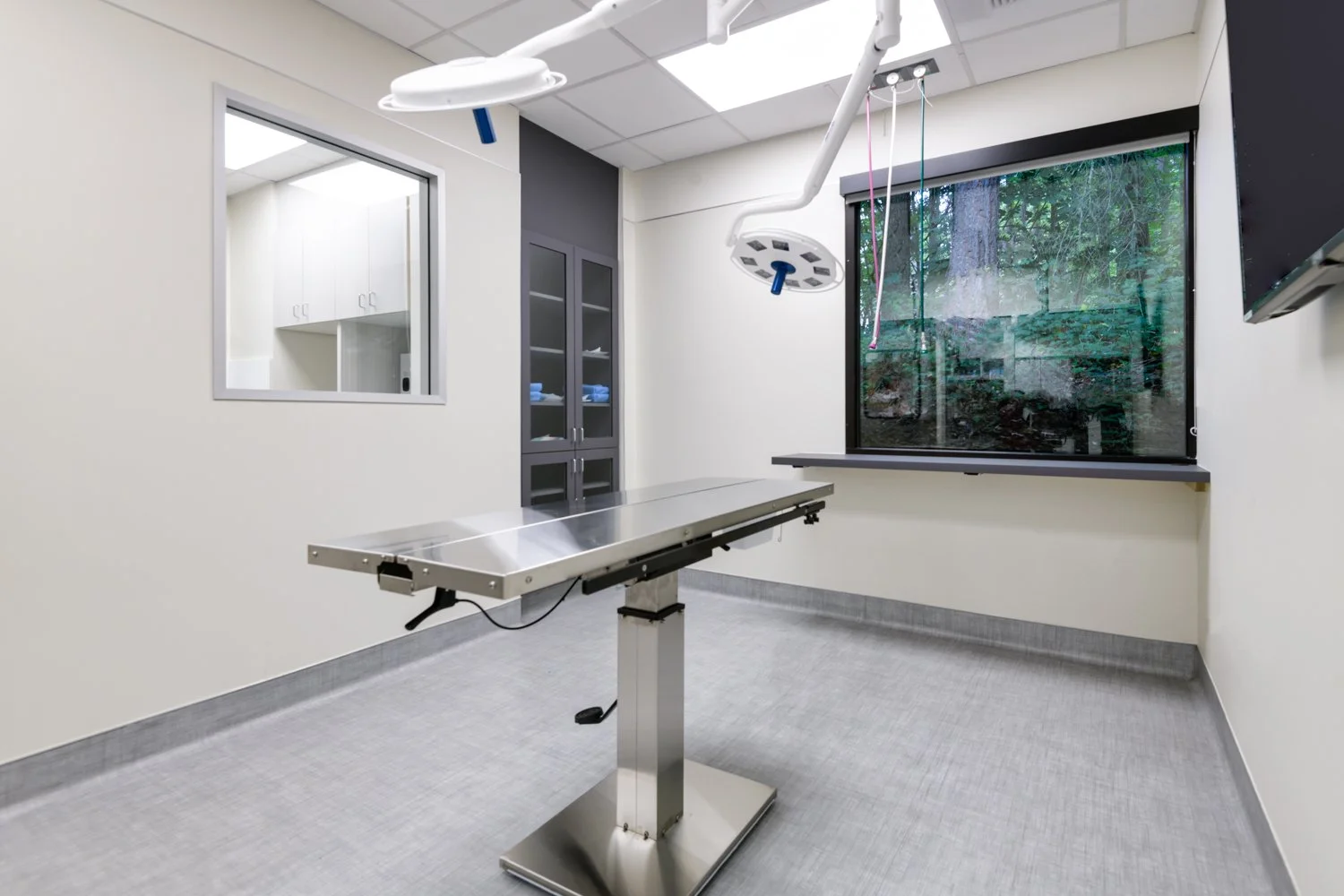 Bellevue Veterinary Emergency + Specialty — JPC Architects