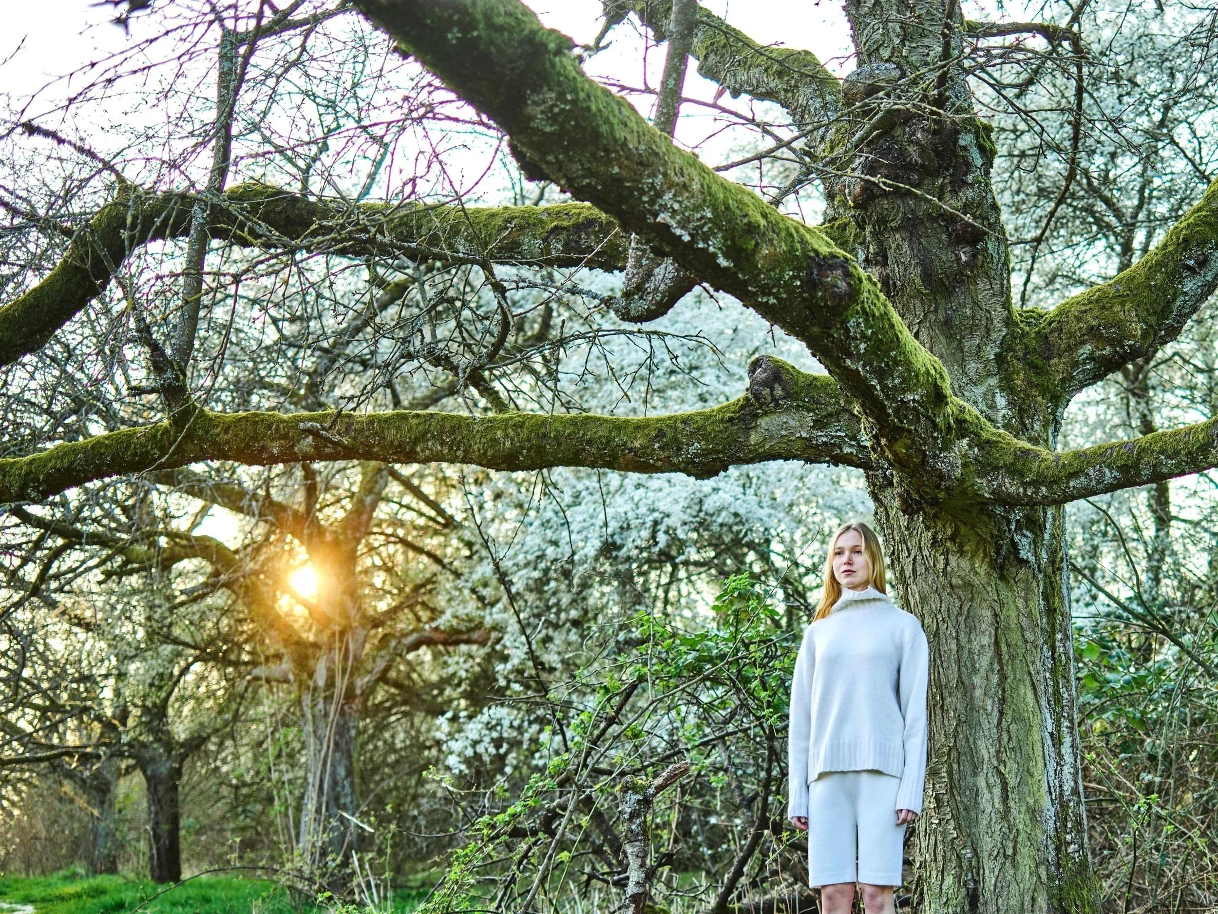 Himalayan Cashmere Co