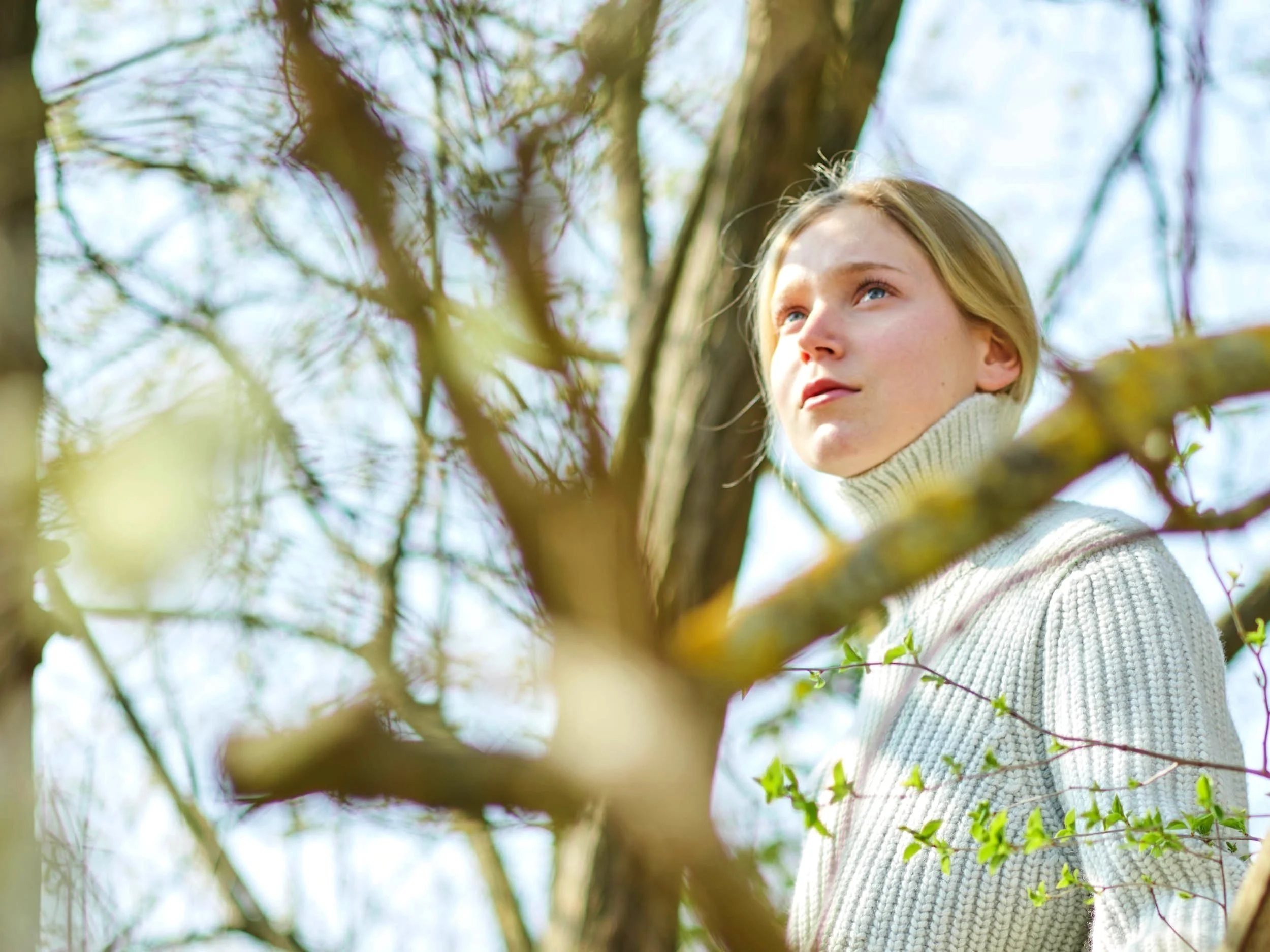 Himalayan Cashmere Co