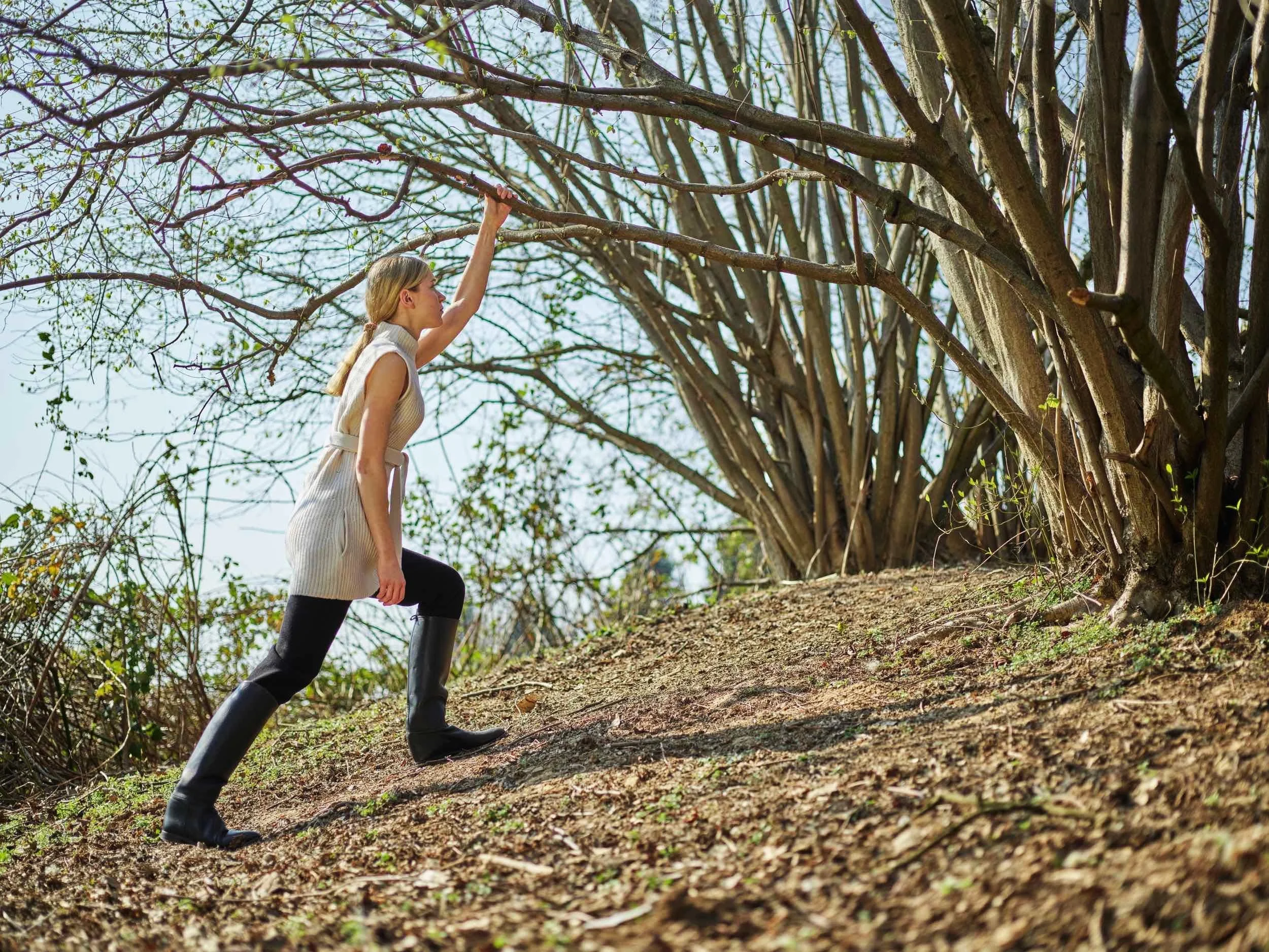 Himalayan Cashmere Co