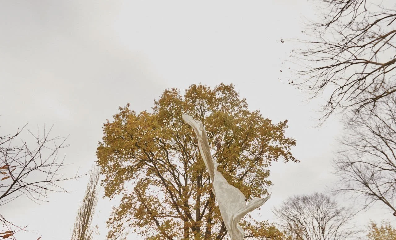 Himalayan Cashmere Co