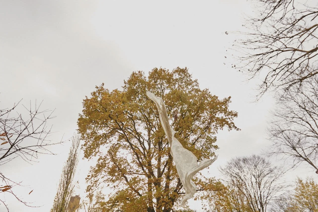 Himalayan Cashmere Co