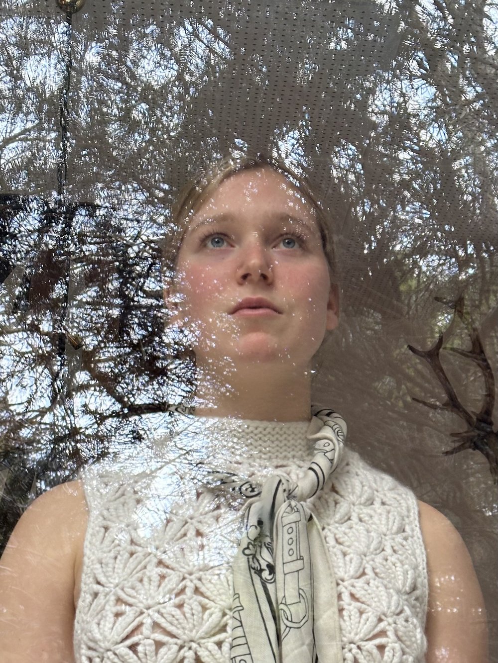 Himalayan Cashmere Co