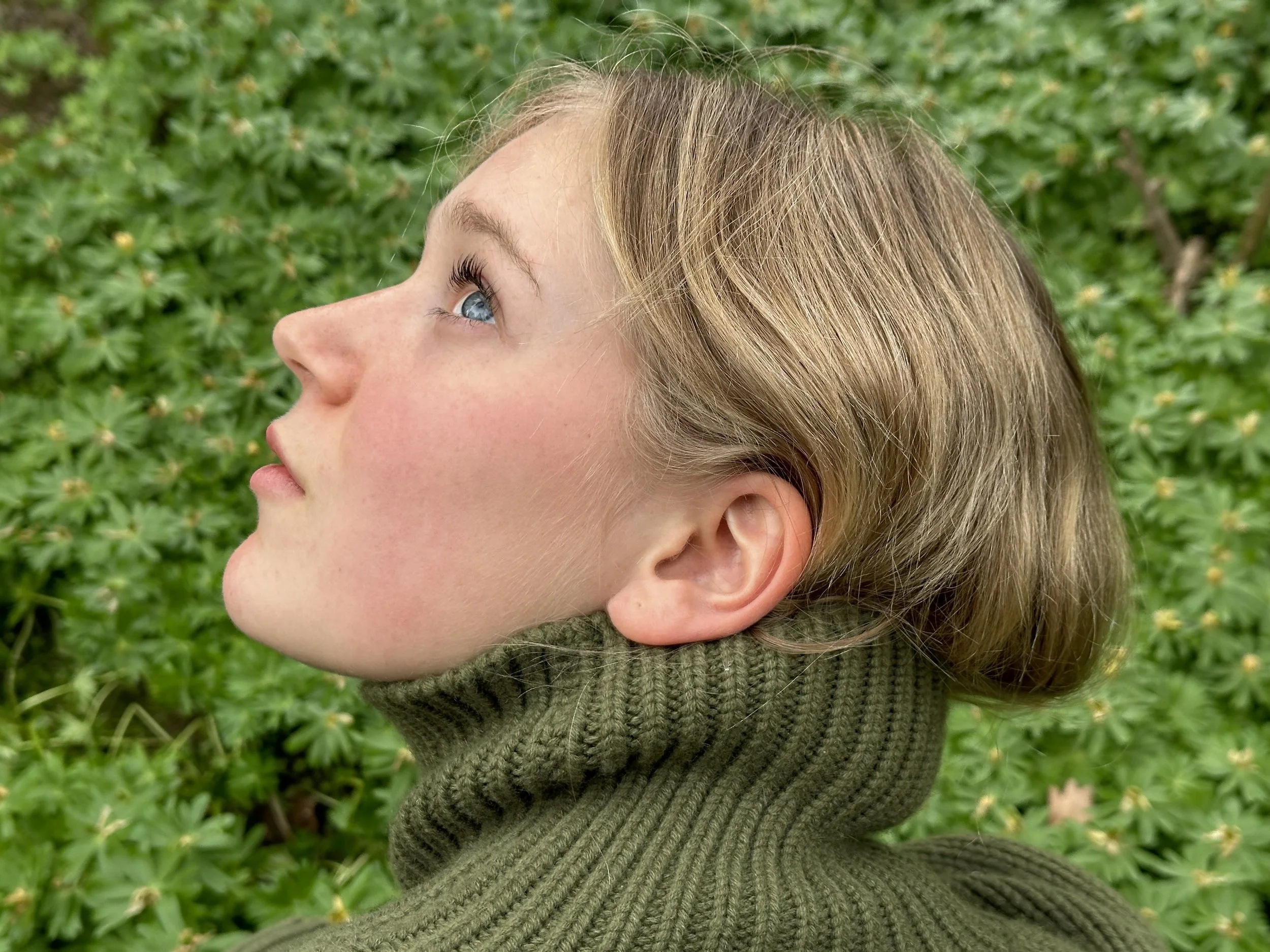 Himalayan Cashmere Co