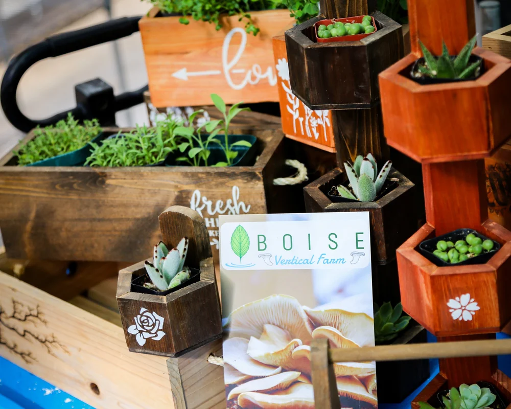 FARE Idaho Feature: Boise Vertical Farm — FARE Idaho