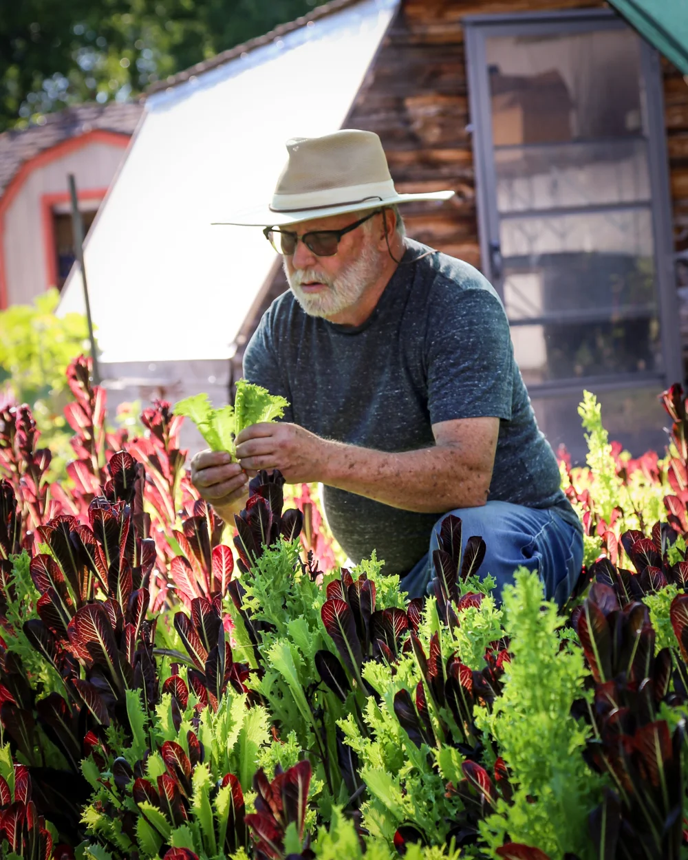 FARE Idaho Feature: Boise Vertical Farm — FARE Idaho