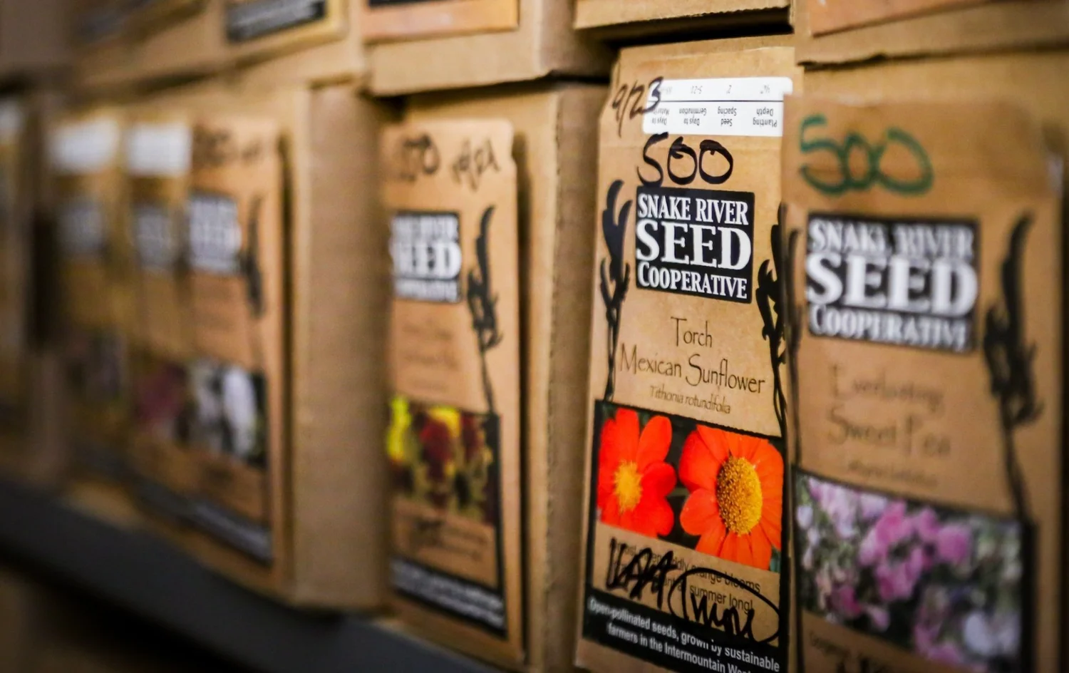 Seeds of Change: How Snake River Seed Cooperative is Empowering Farmers ...