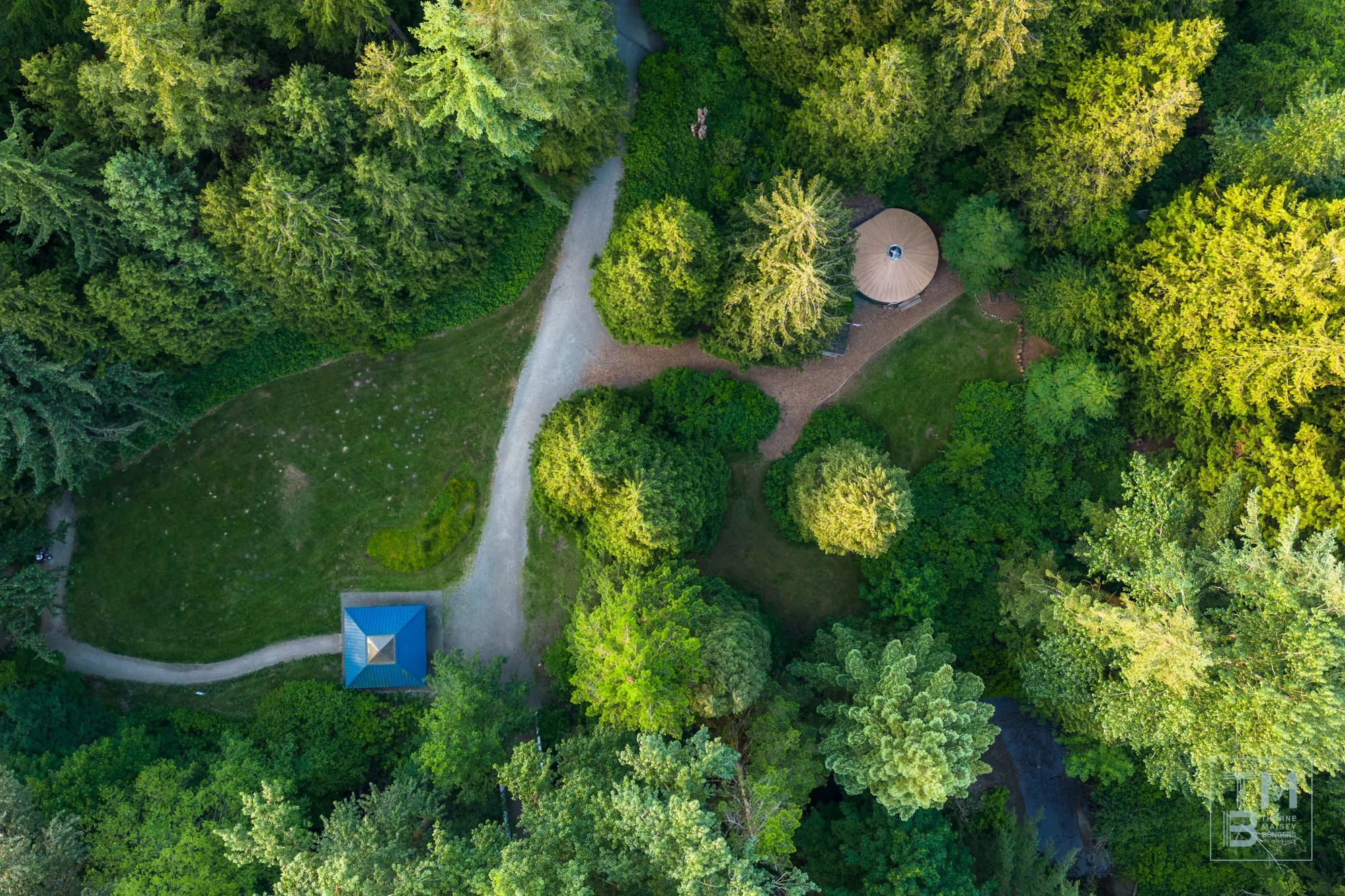 Discover Williams Park: An Adventurous Family Escape in Langley, BC ...