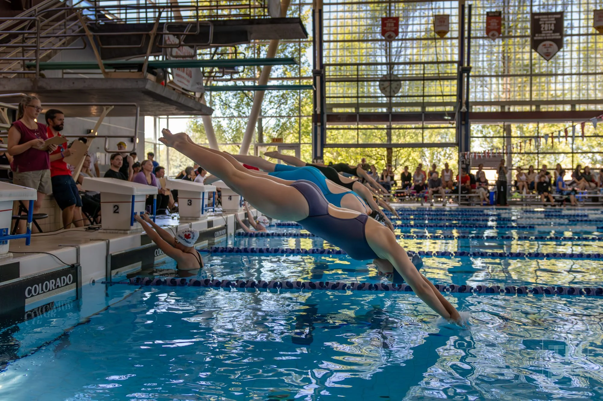 Walnut Grove Real Estate: Your Guide to Living in Langley, BC | TMB ...