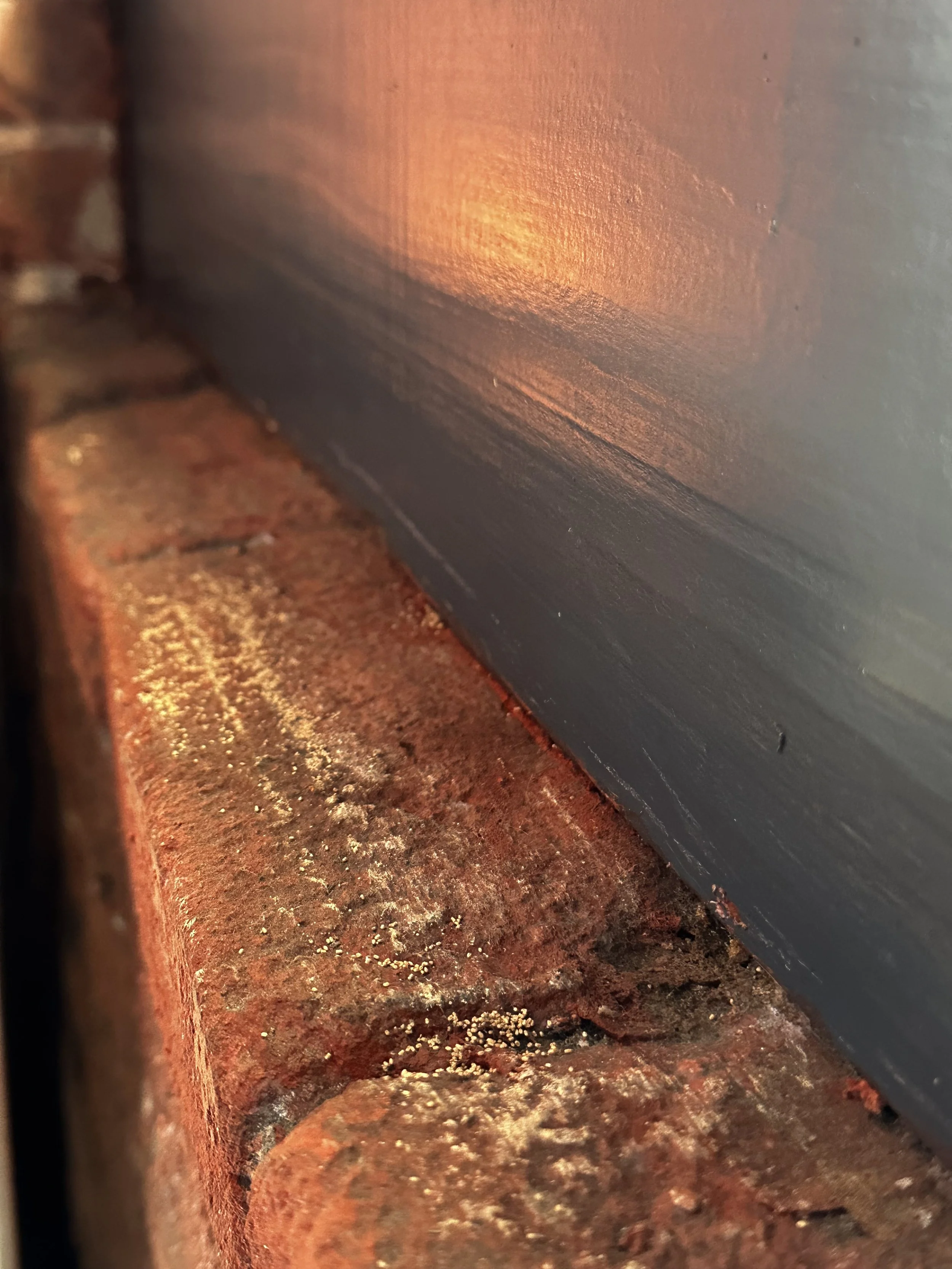 Rumble Fish Pest Control