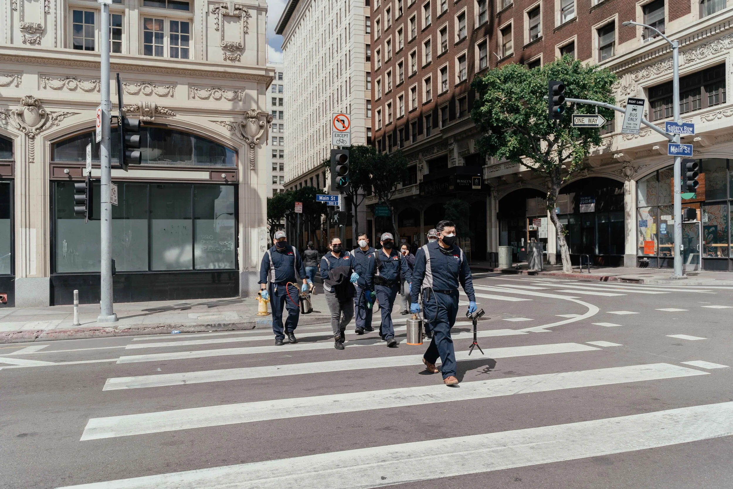 Rumble Fish Pest Control