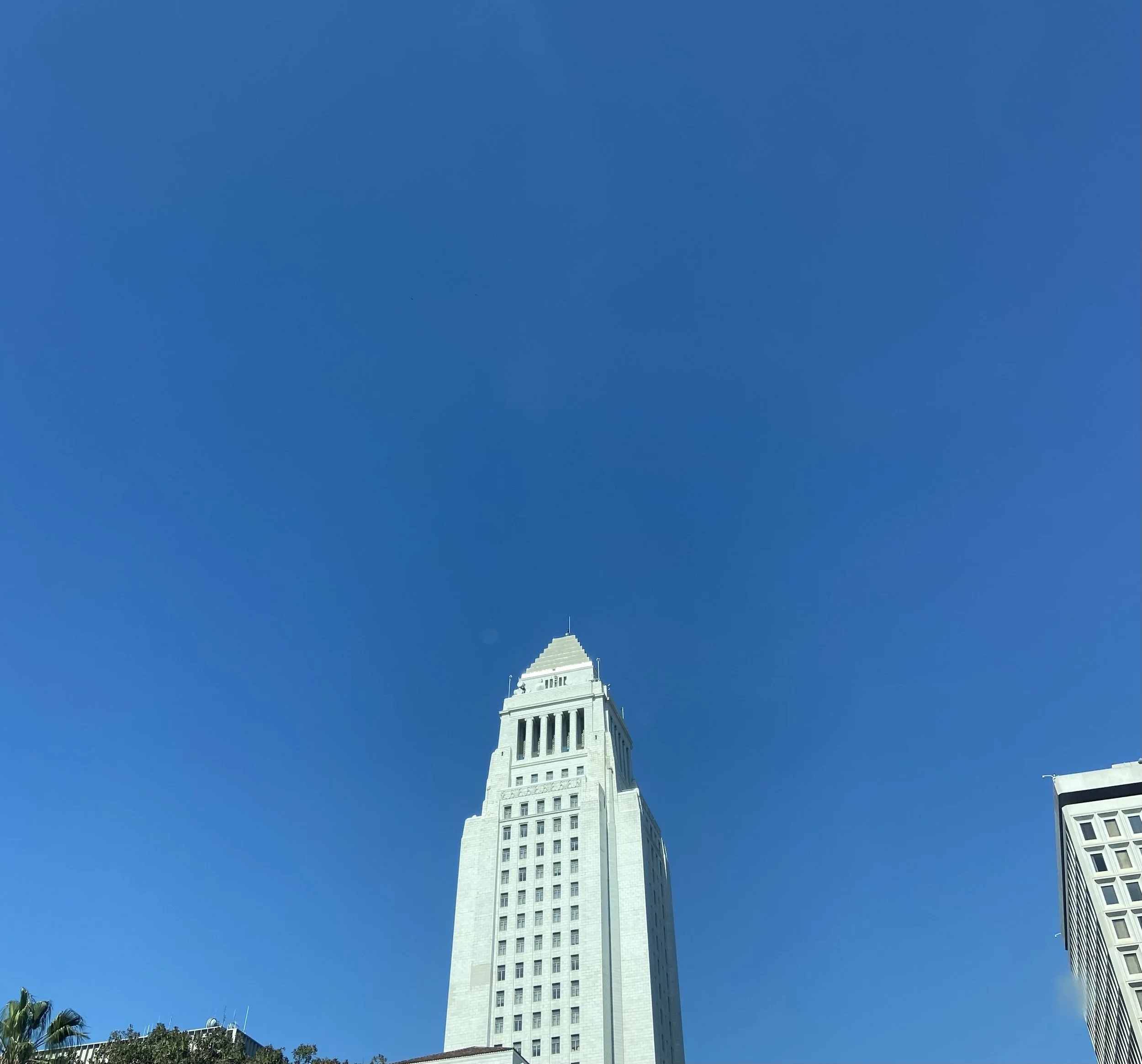 Rumble Fish Pest Control