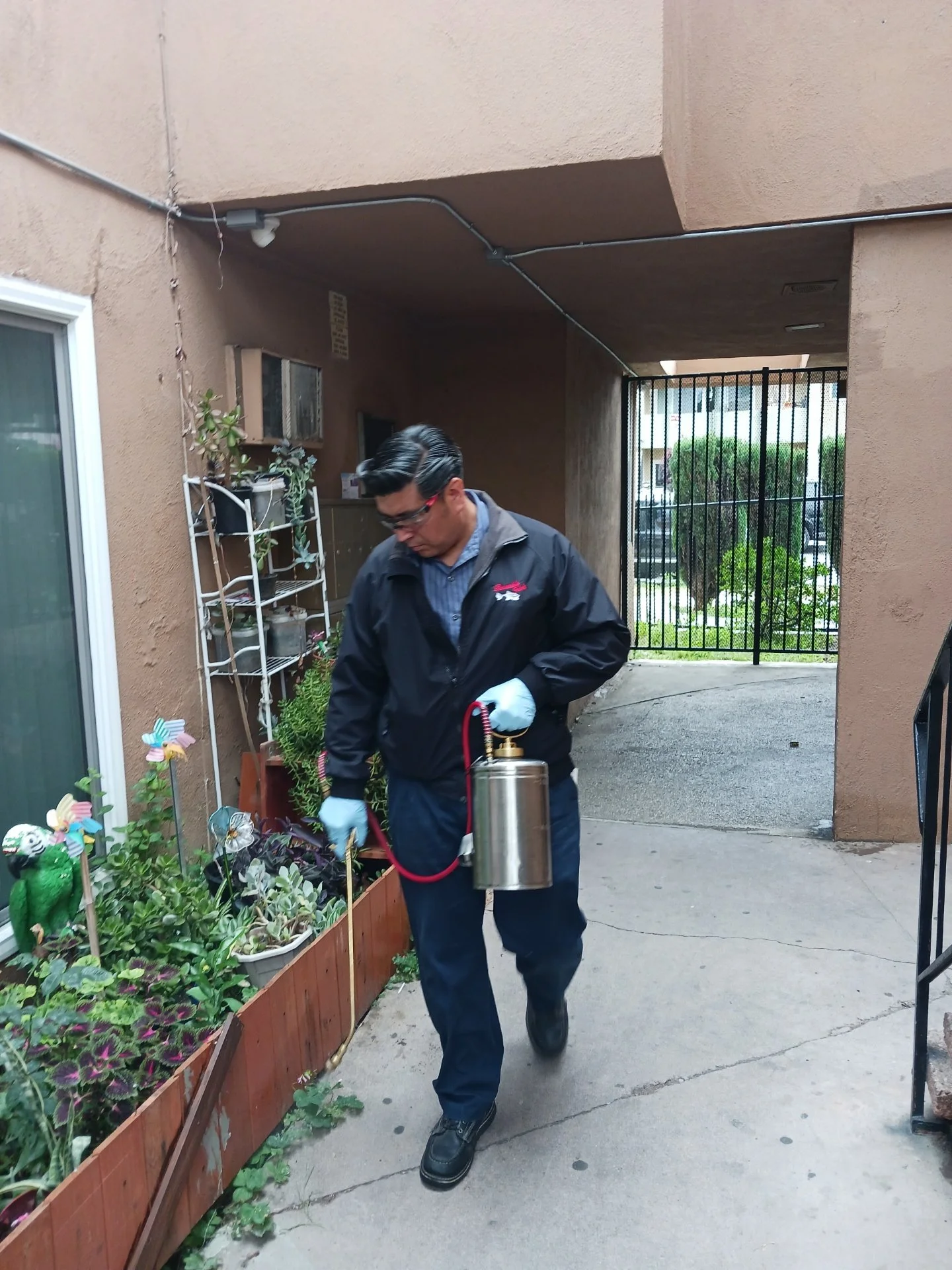 Rumble Fish Pest Control